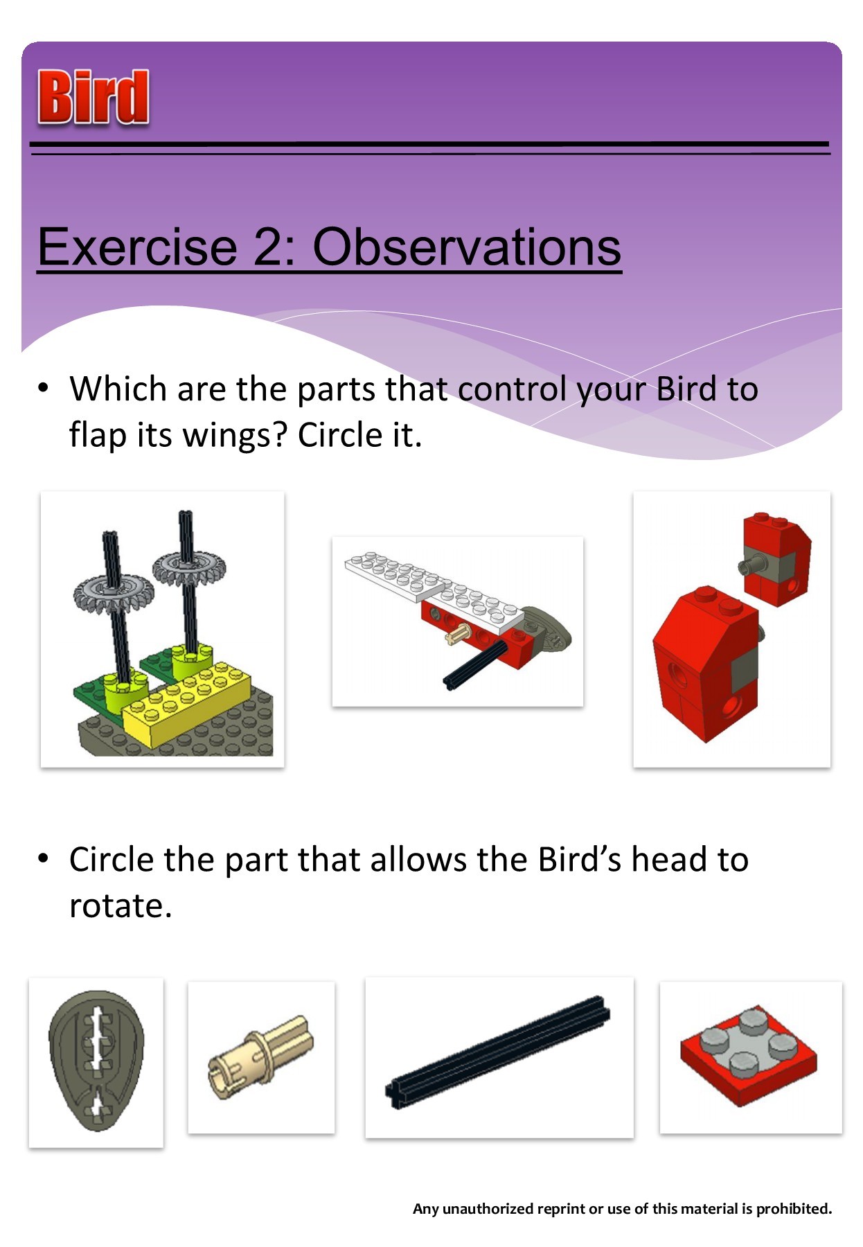 Bird Worksheet - chongwanleng_1991 - Page 3 | Flip PDF Online | PubHTML5