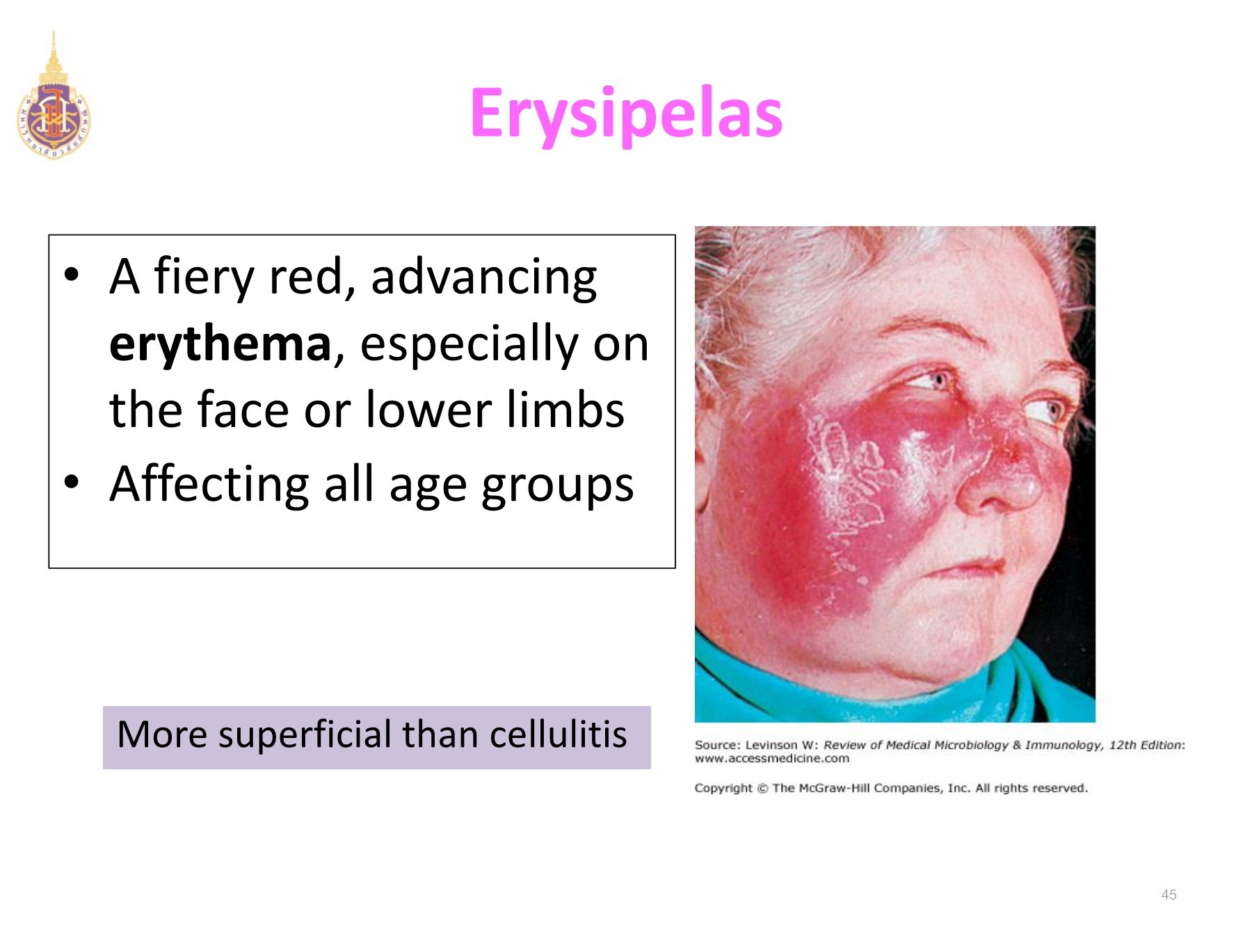 Lecture 2 แบคทีเรีย - piyaporn - Page 45 | Flip PDF Online | PubHTML5
