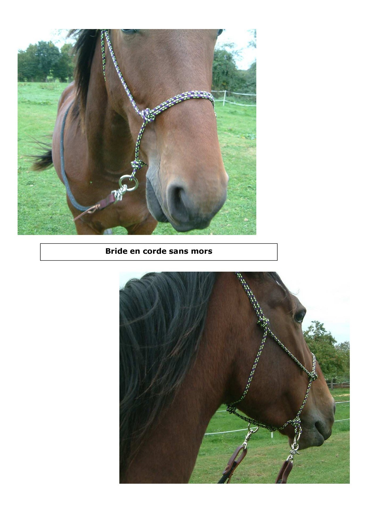 my products2 - Sellerie St Pierre - Page 1 - 8 | PDF Feuilletable en ...