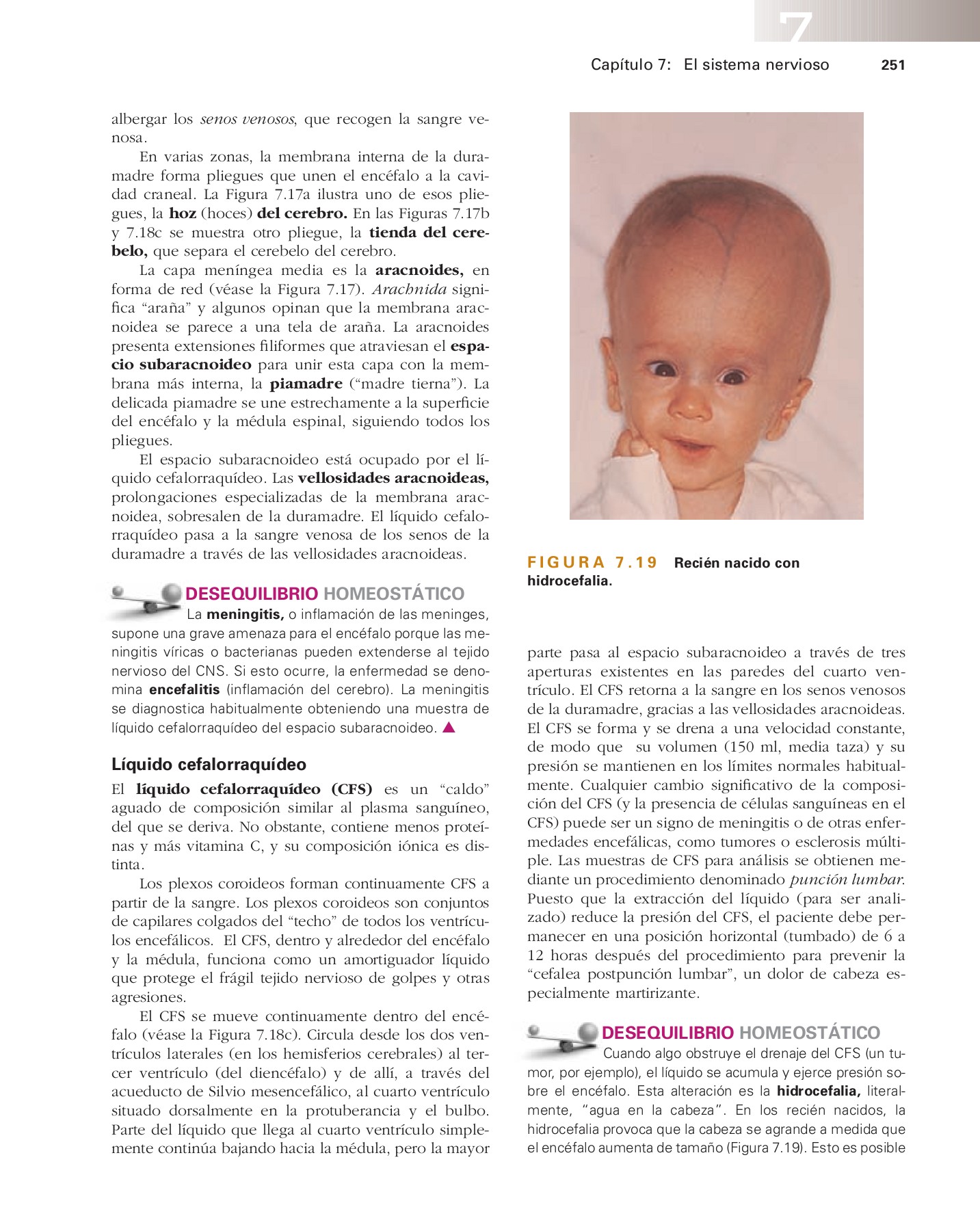 Anatomía y Fisiología Humana - Alejandro B. - Página 277 | Flip PDF en línea | PubHTML5