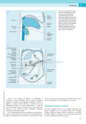 Lo Esencial En Anatomia - Alejandro B. - Page 109 | Flip PDF Online ...