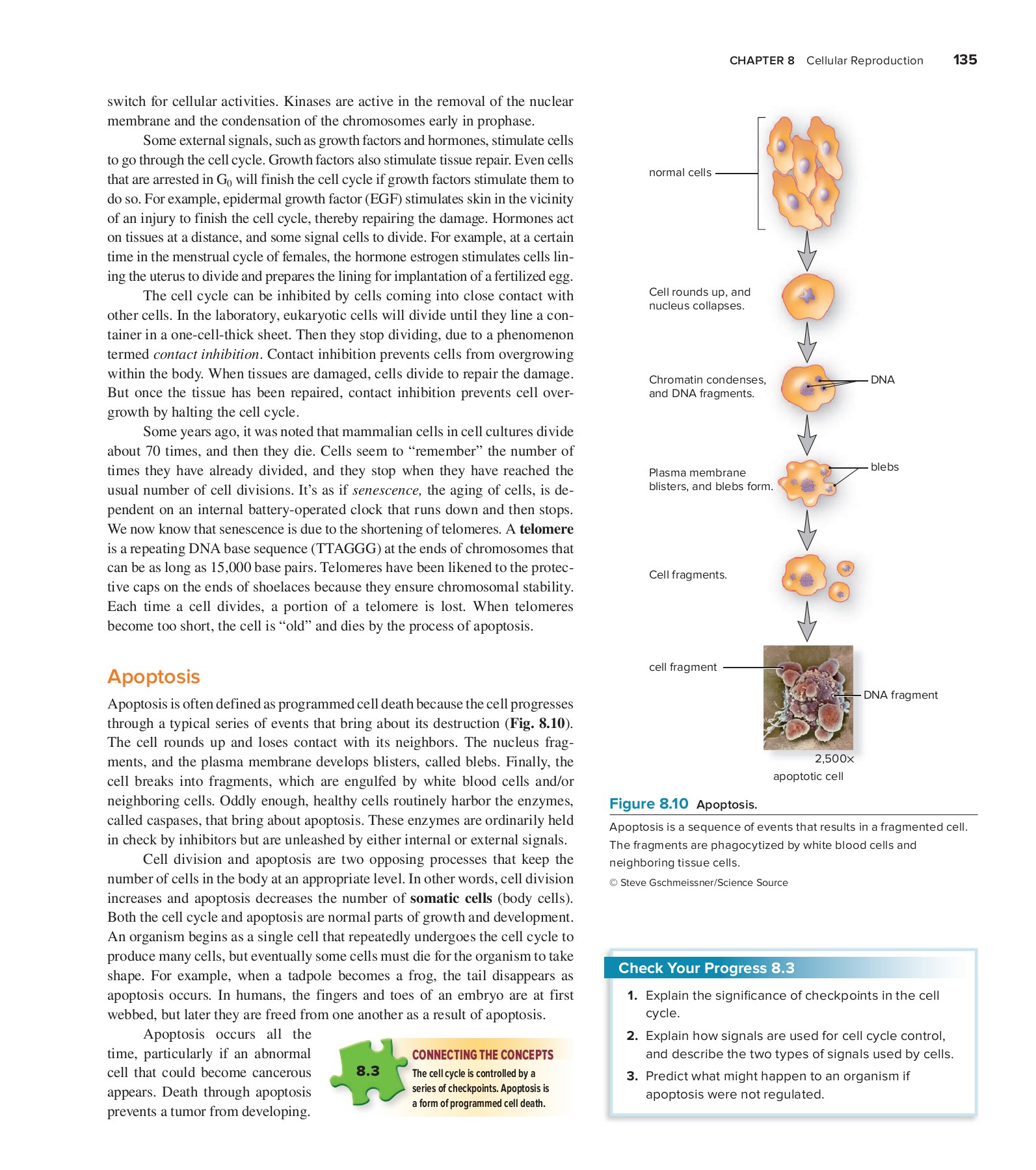 Essentials-of-Biology - ShaniB - Page 154 | Flip PDF Online | PubHTML5
