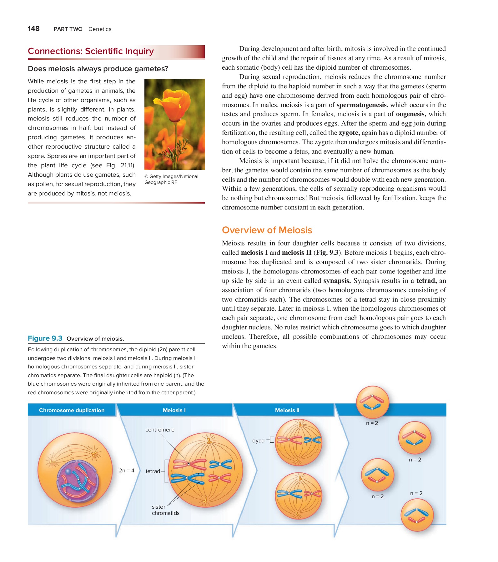 Essentials-of-Biology - ShaniB - Page 167 | Flip PDF Online | PubHTML5