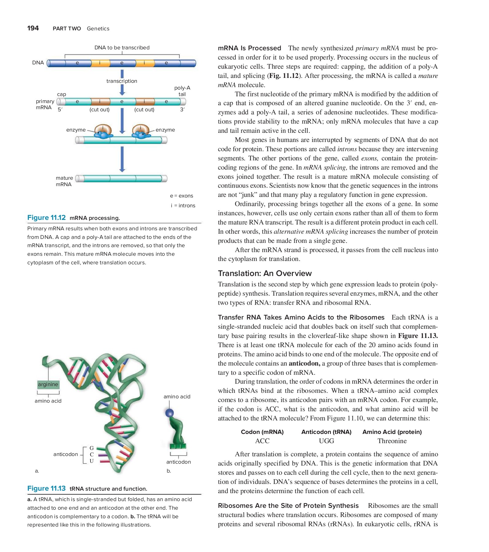 Essentials-of-Biology - ShaniB - Page 213 | Flip PDF Online | PubHTML5
