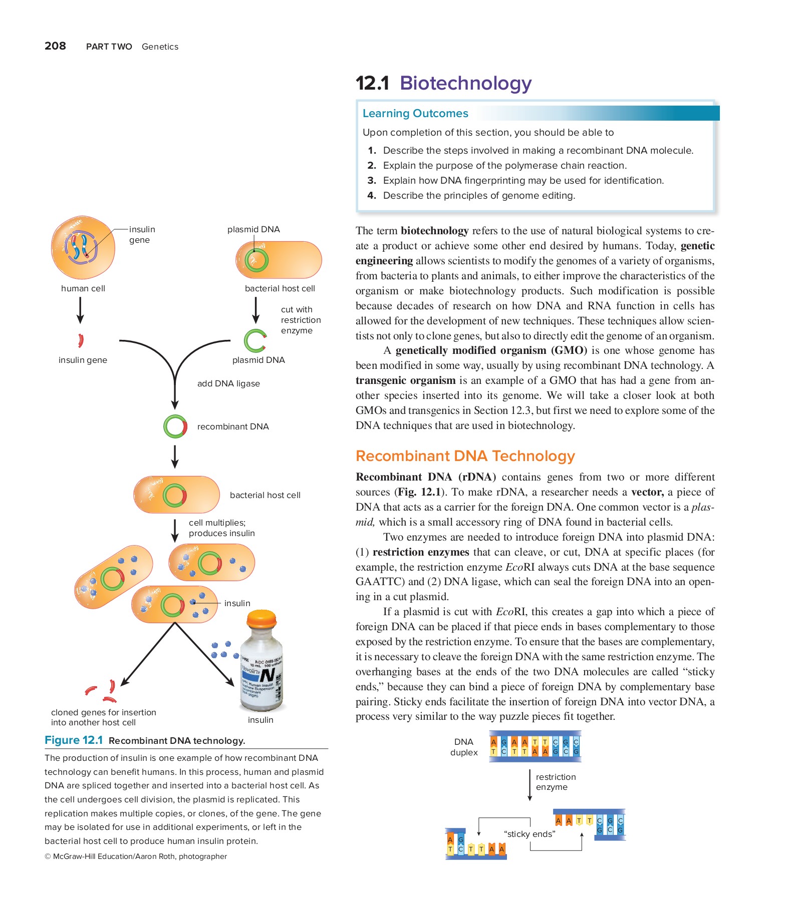 Essentials-of-Biology - ShaniB - Page 227 | Flip PDF Online | PubHTML5