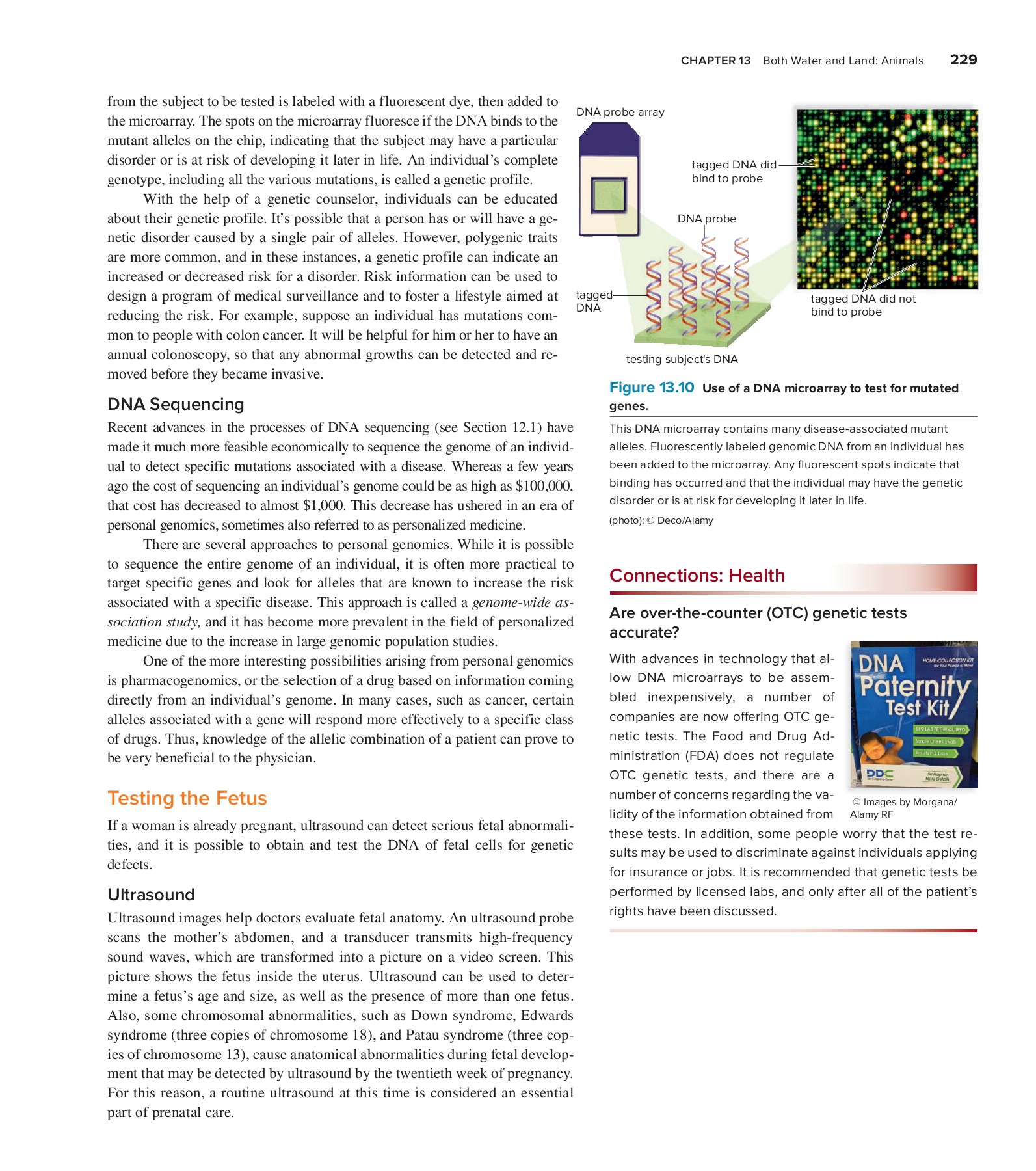 Essentials-of-Biology - ShaniB - Page 248 | Flip PDF Online | PubHTML5