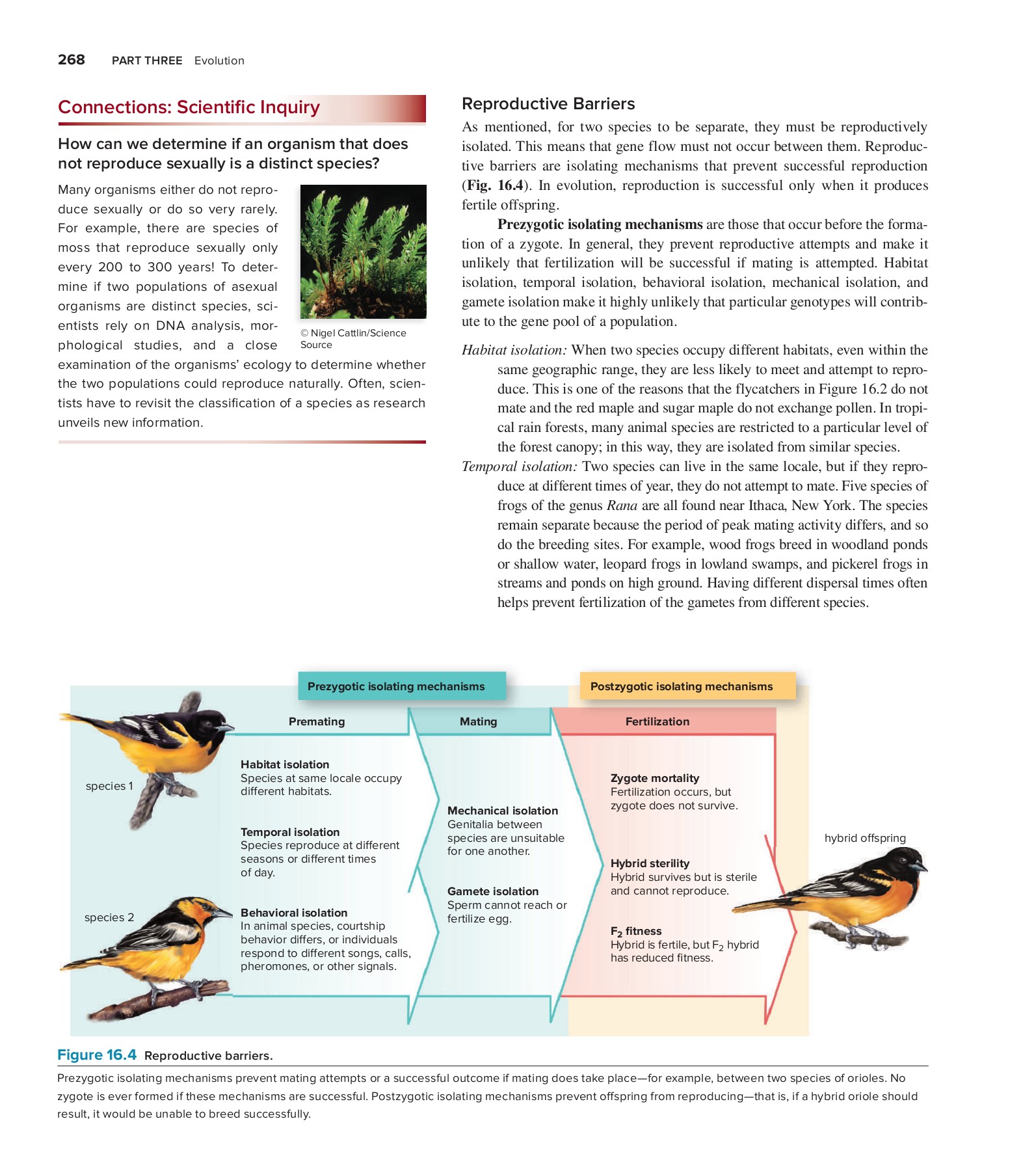Essentials-of-Biology - ShaniB - Page 287 | Flip PDF Online | PubHTML5
