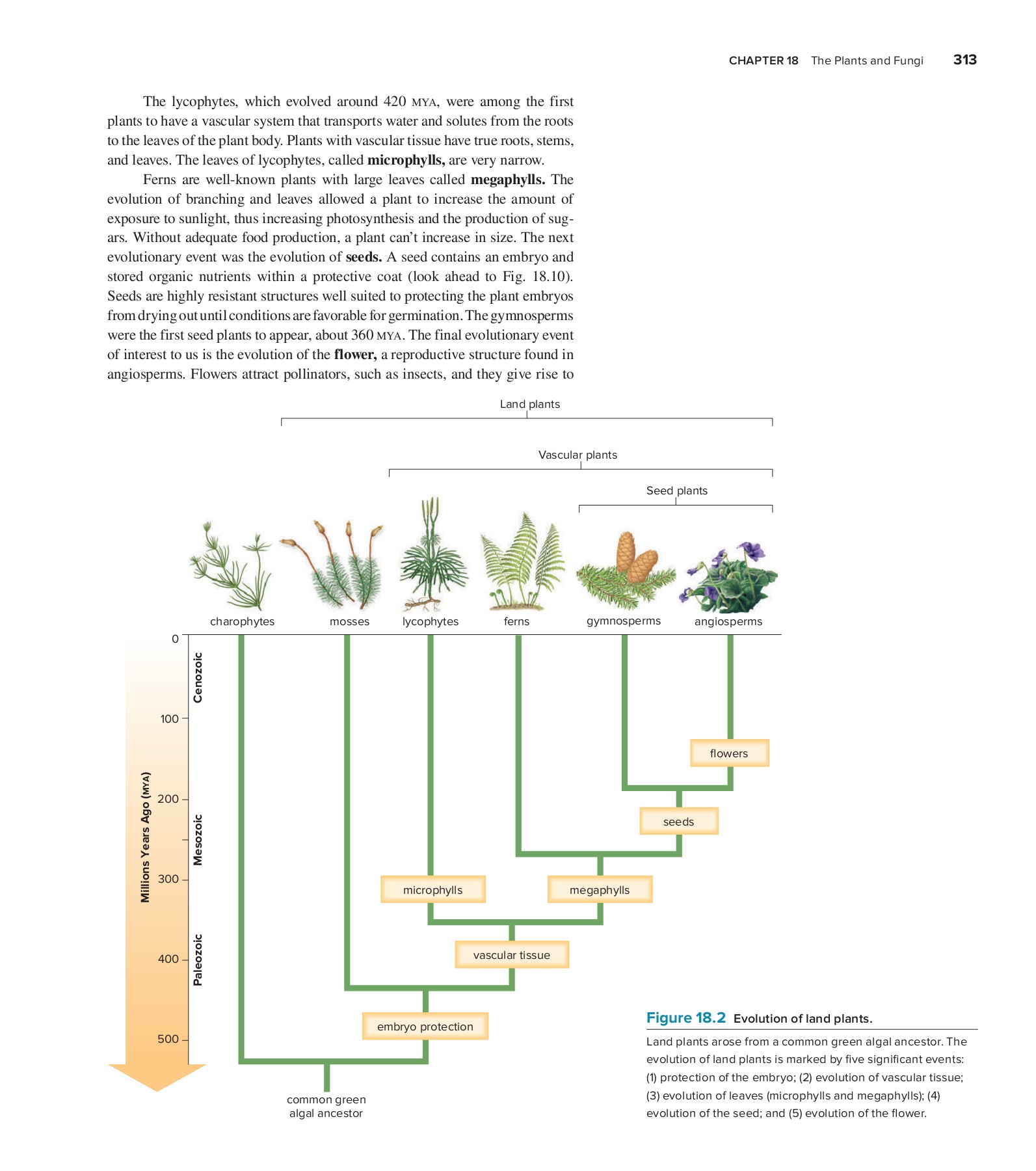 Essentials-of-Biology - ShaniB - Page 332 | Flip PDF Online | PubHTML5