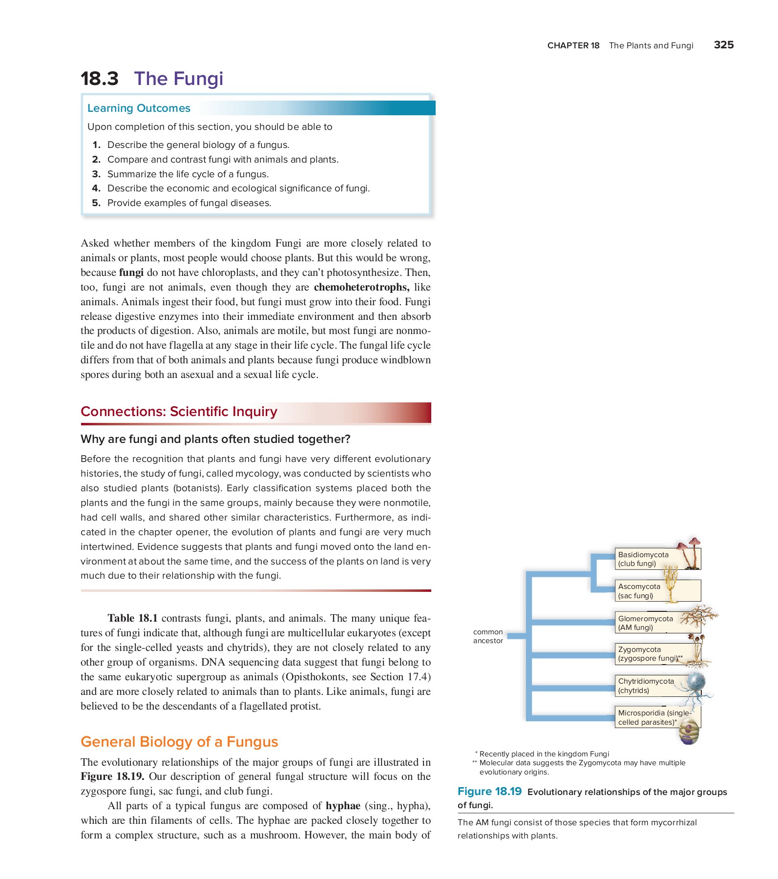 Essentials-of-Biology - ShaniB - Page 344 | Flip PDF Online | PubHTML5