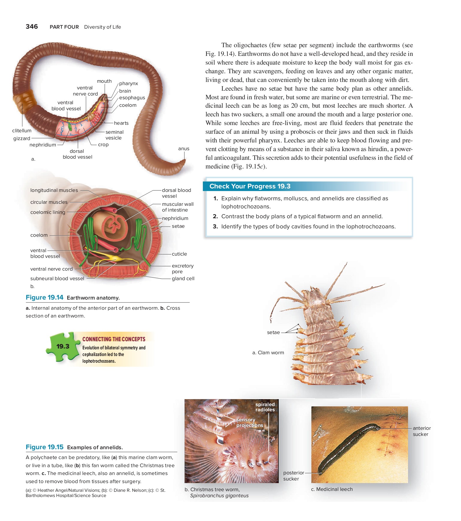 Essentials-of-Biology - ShaniB - Page 365 | Flip PDF Online | PubHTML5