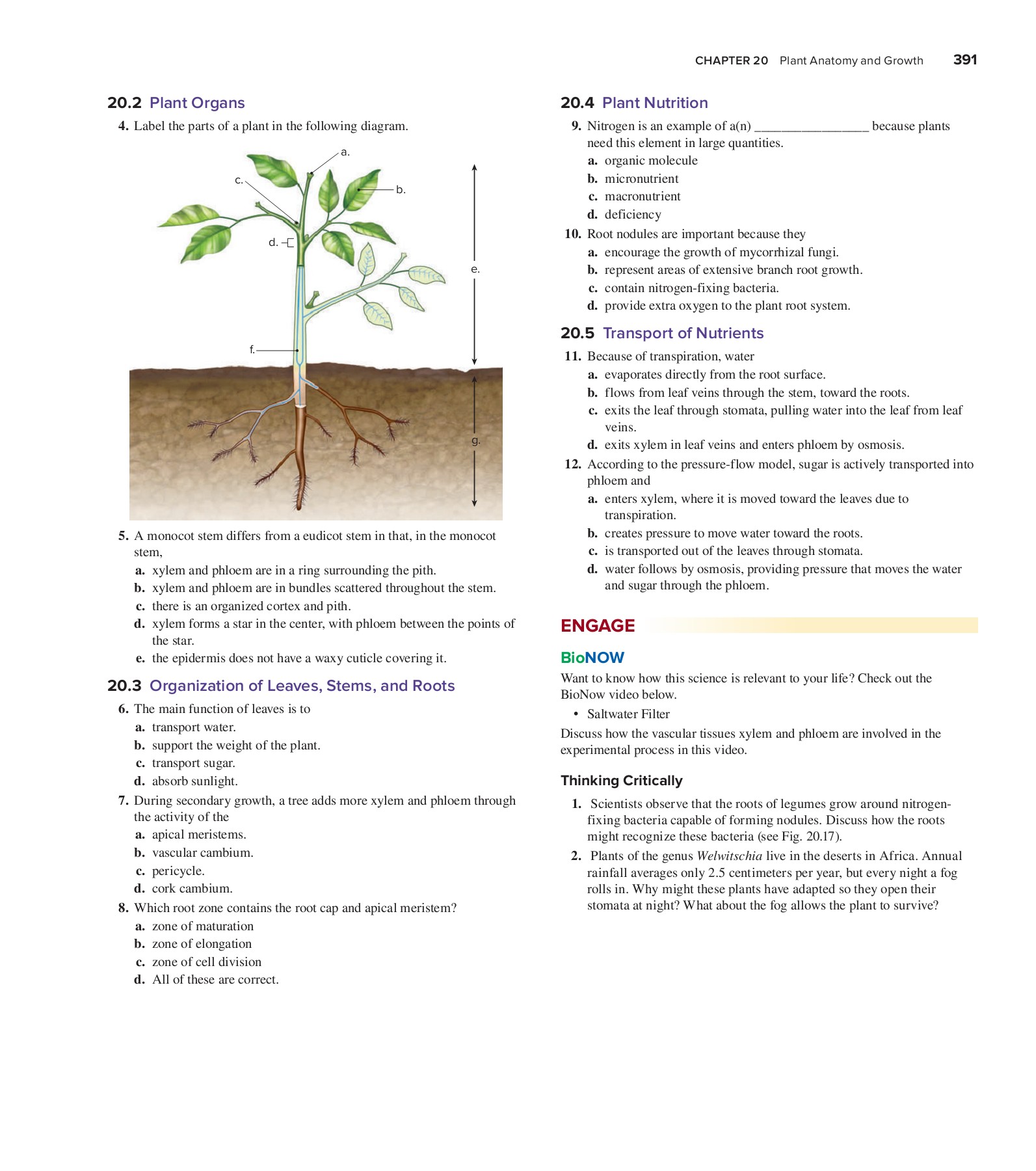 Essentials-of-Biology - ShaniB - Page 410 | Flip PDF Online | PubHTML5