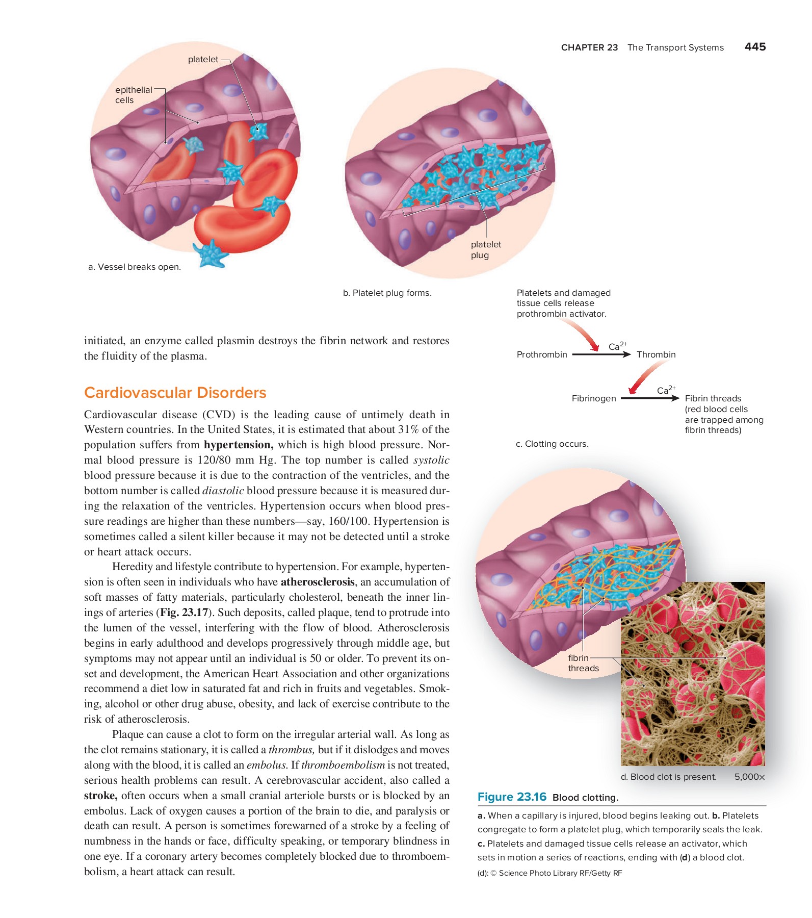 Essentials-of-Biology - ShaniB - Page 464 | Flip PDF Online | PubHTML5