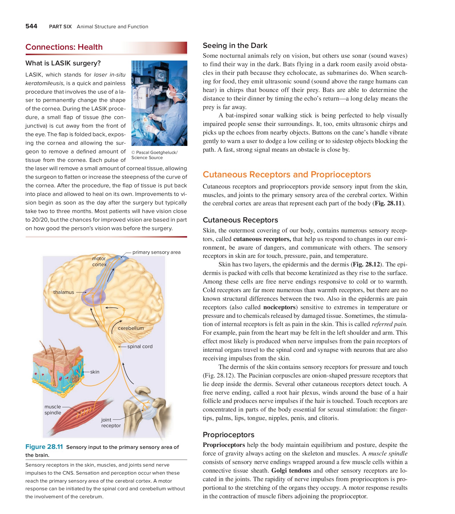 Essentials-of-Biology - ShaniB - Page 563 | Flip PDF Online | PubHTML5