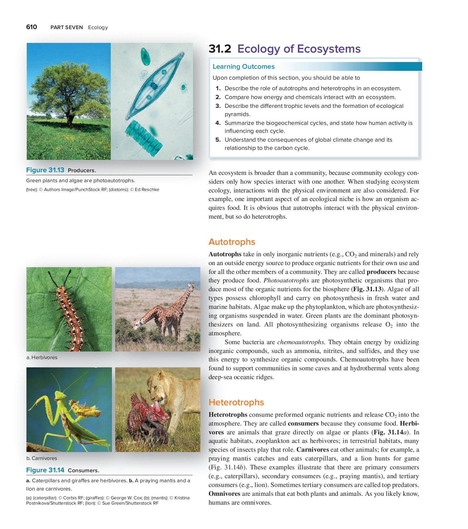 Essentials-of-Biology - ShaniB - Page 629 | Flip PDF Online | PubHTML5