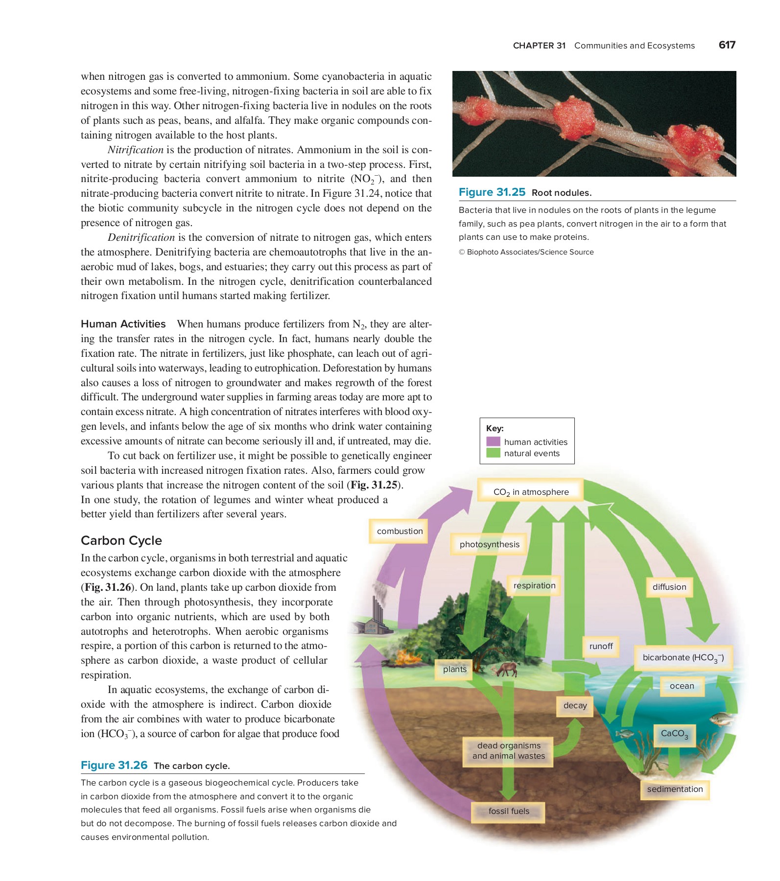 Essentials-of-Biology - ShaniB - Page 636 | Flip PDF Online | PubHTML5