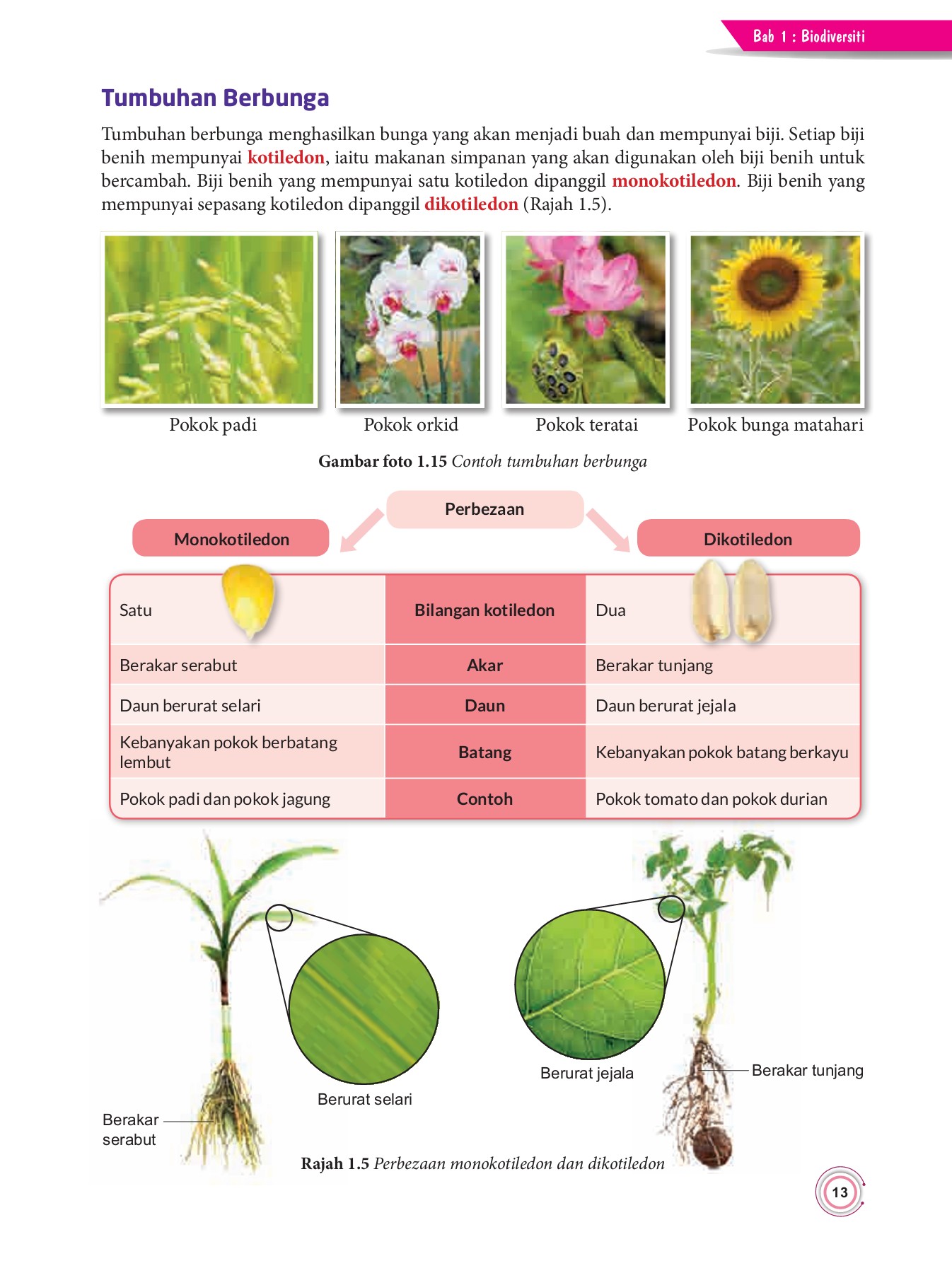 BUKU TEKS SAINS T2 KSSM - haidaizani03 - Halaman 21 | PDF Online | PubHTML5