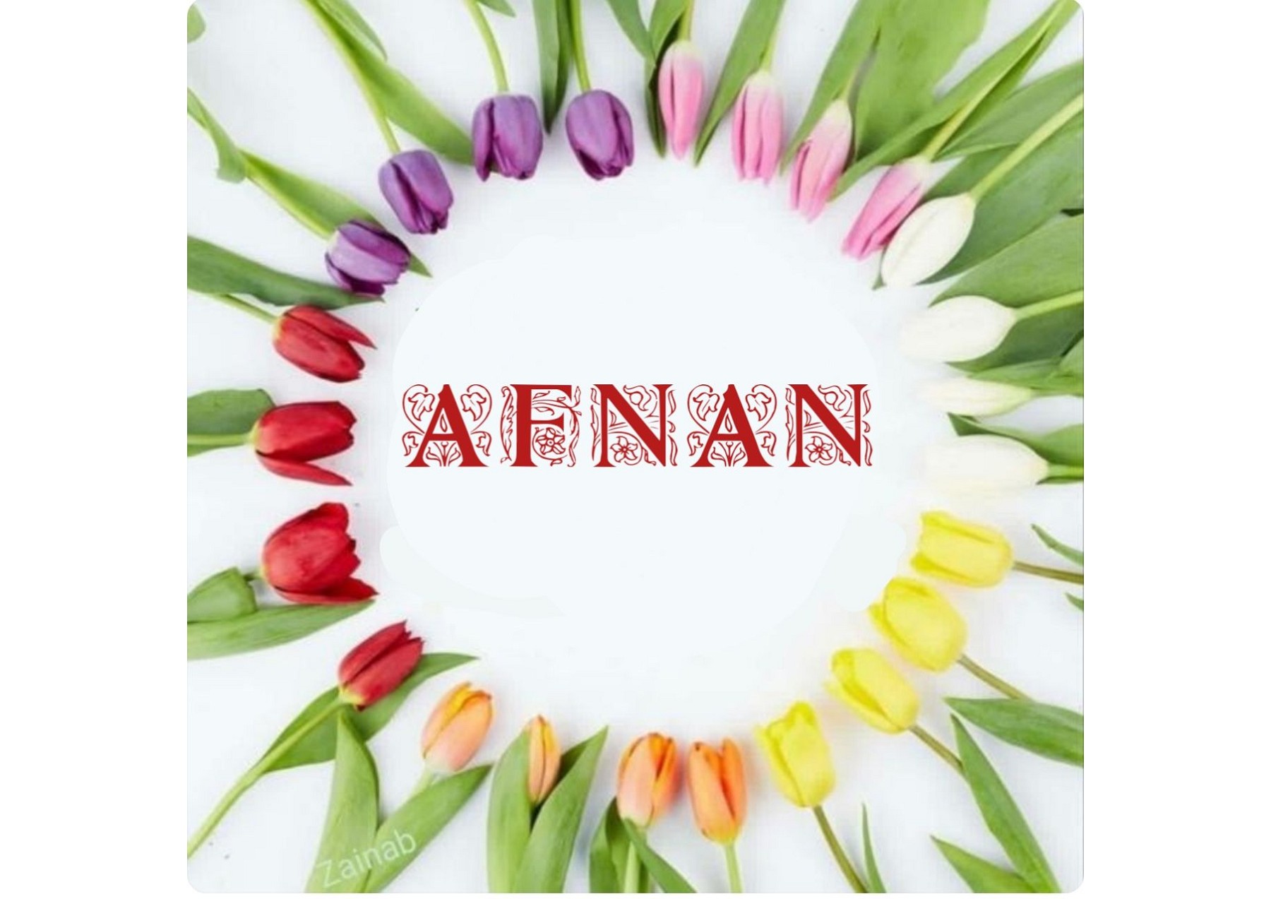 - ZAINAB MOHAMMAD - Page 1 - 26 | Flip PDF Online | PubHTML5