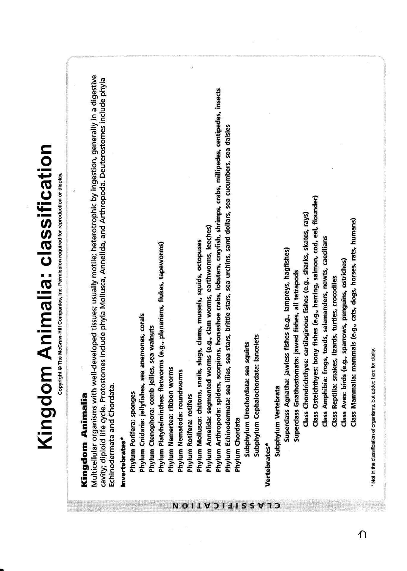 การจำแนกสัตว์ - Anucha Phanna - หน้าหนังสือ 1 - 28 | พลิก PDF ออนไลน์ | PubHTML5