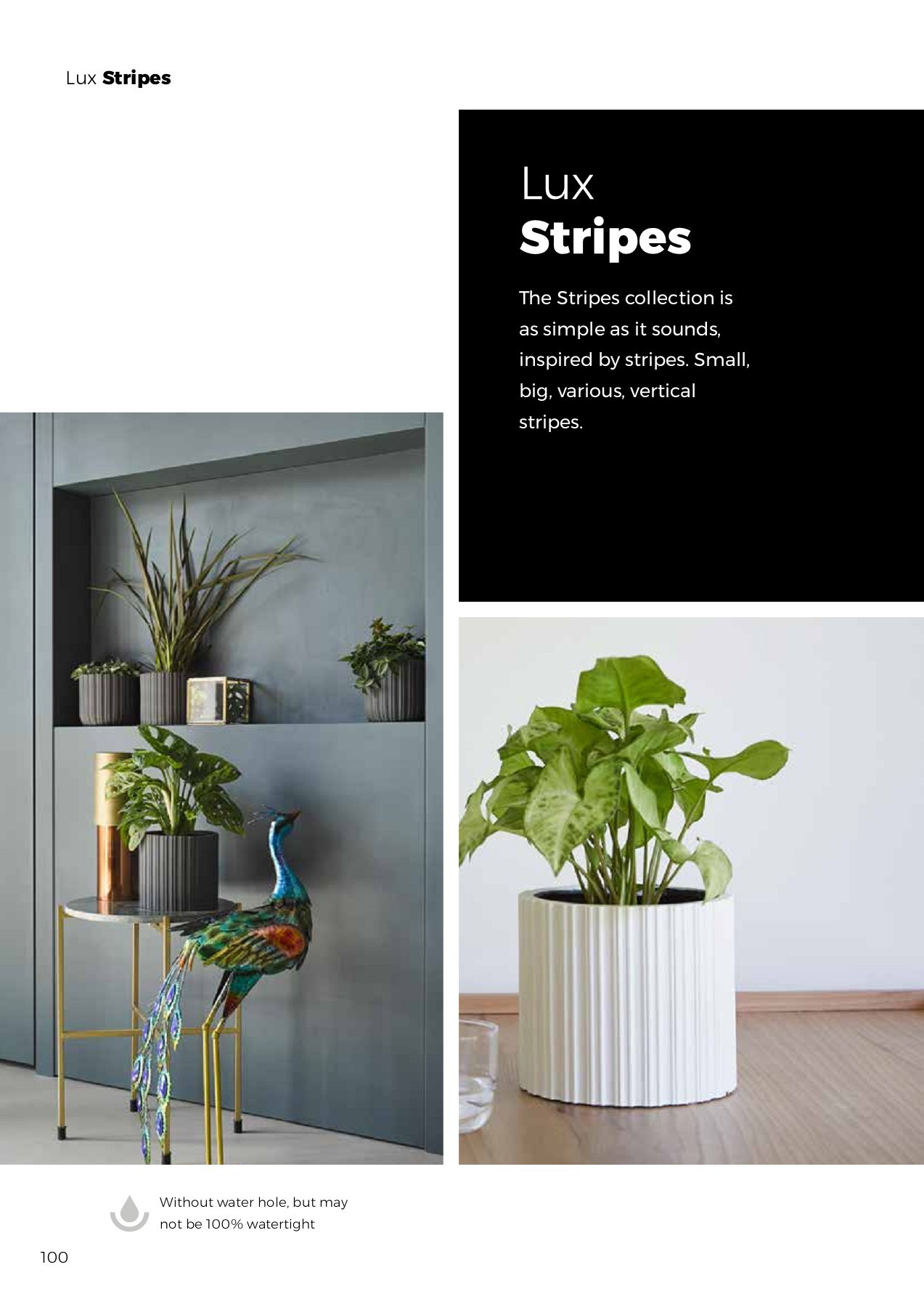 Capi Europe Brochure 2020 - joy - Page 100 | Flip PDF Online | PubHTML5