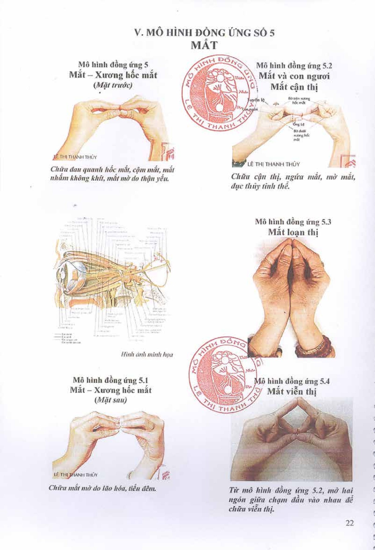 MÔ HÌNH ĐỒNG ỨNG TOÀN TẬP - tien dat - Trang 24 | PDF lật trang trực ...