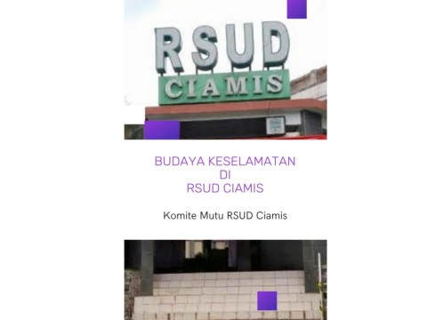 BUDAYA KESELAMATAN PASIEN - rsud ciamis - Halaman 31 | PDF Online ...