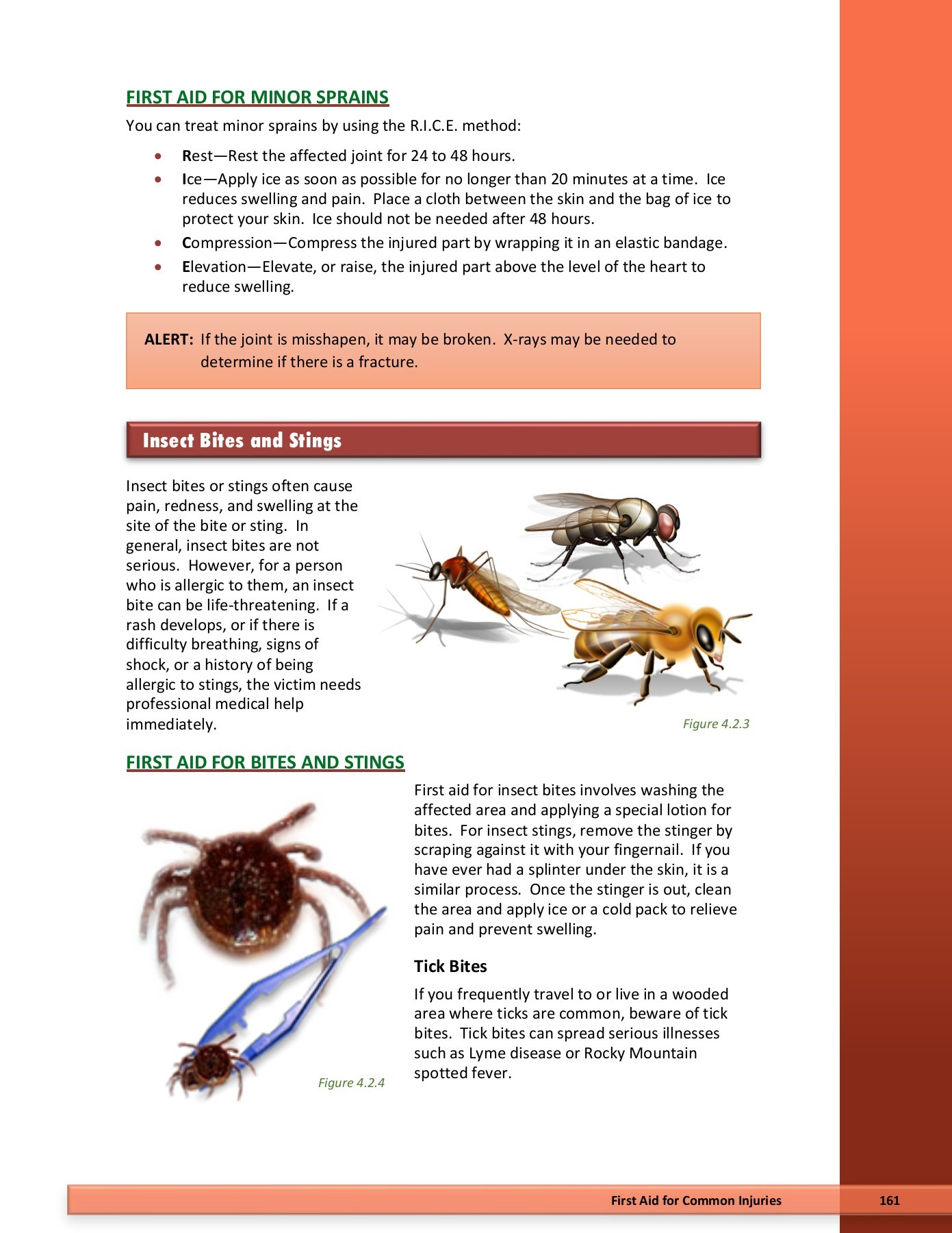 UNIT 2_Text - Kalvin Ross - Page 175 | Flip PDF Online | PubHTML5