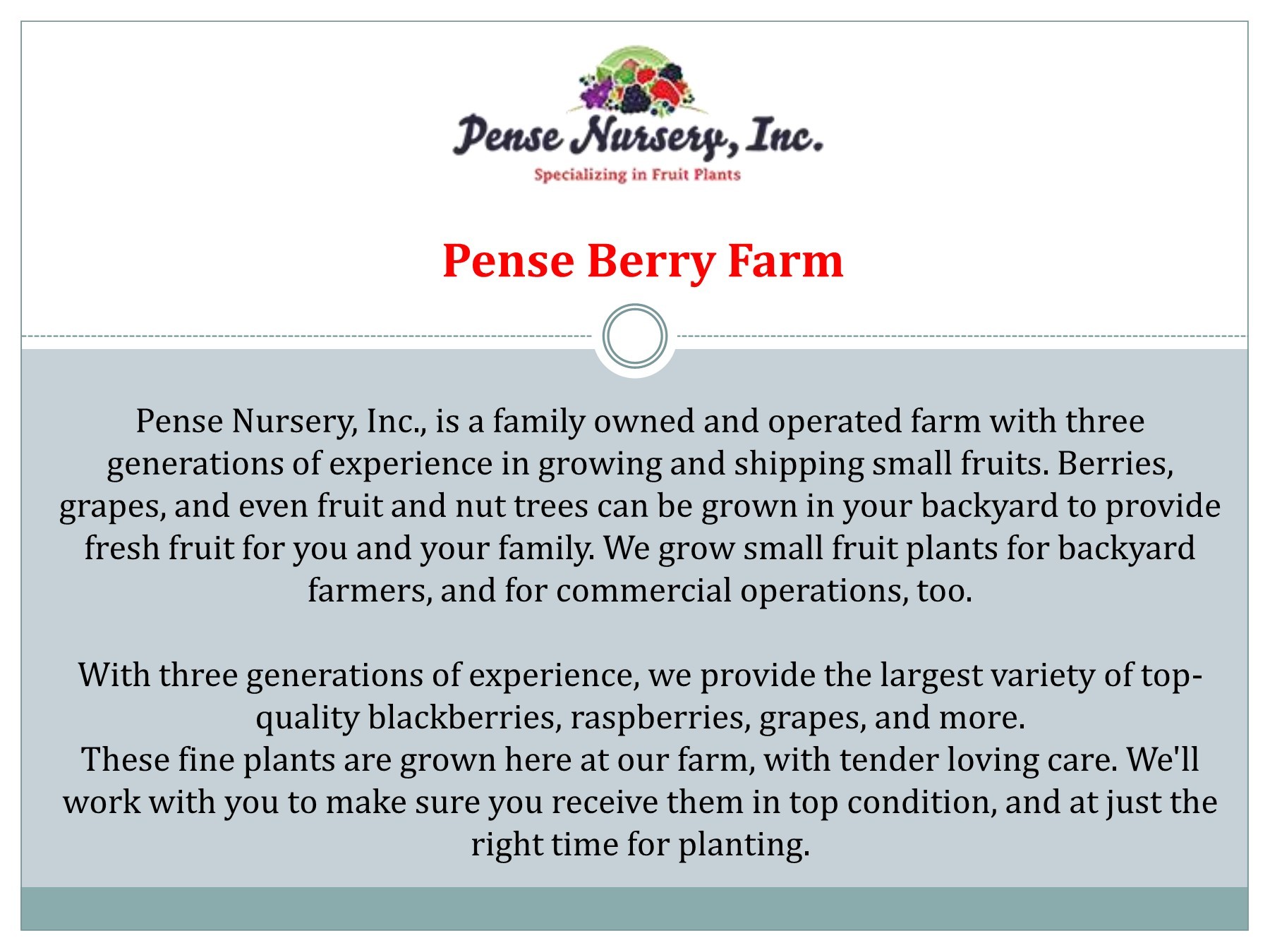 Pense Berry Farm - penseberryfarm - Page 1 - 6 | Flip PDF Online | PubHTML5