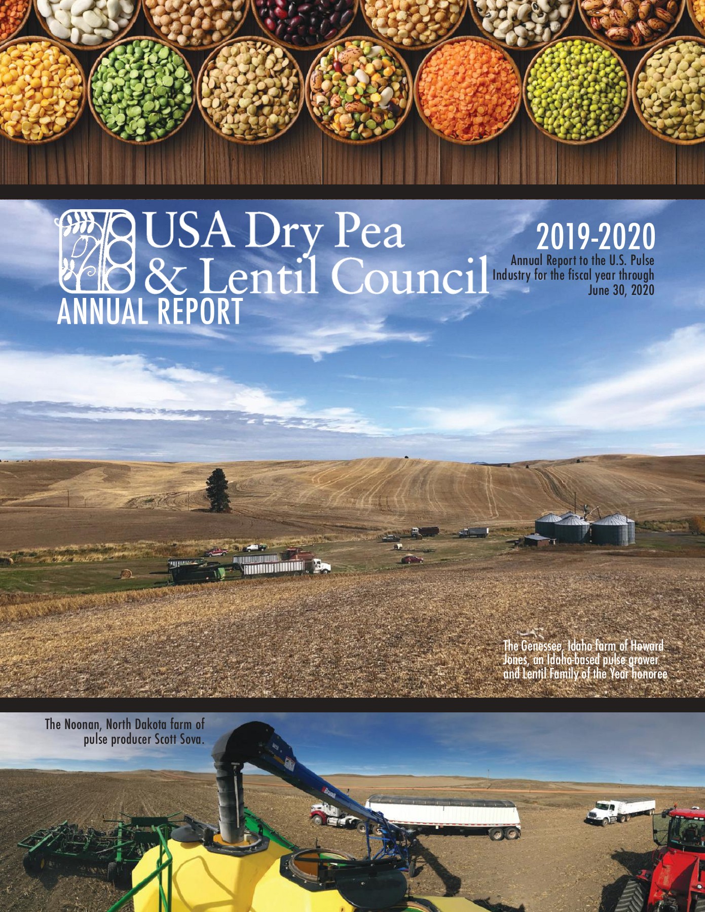 2019_20 USADPLC ANNUAL REPORT - USA Pulses | Flip PDF Online | PubHTML5