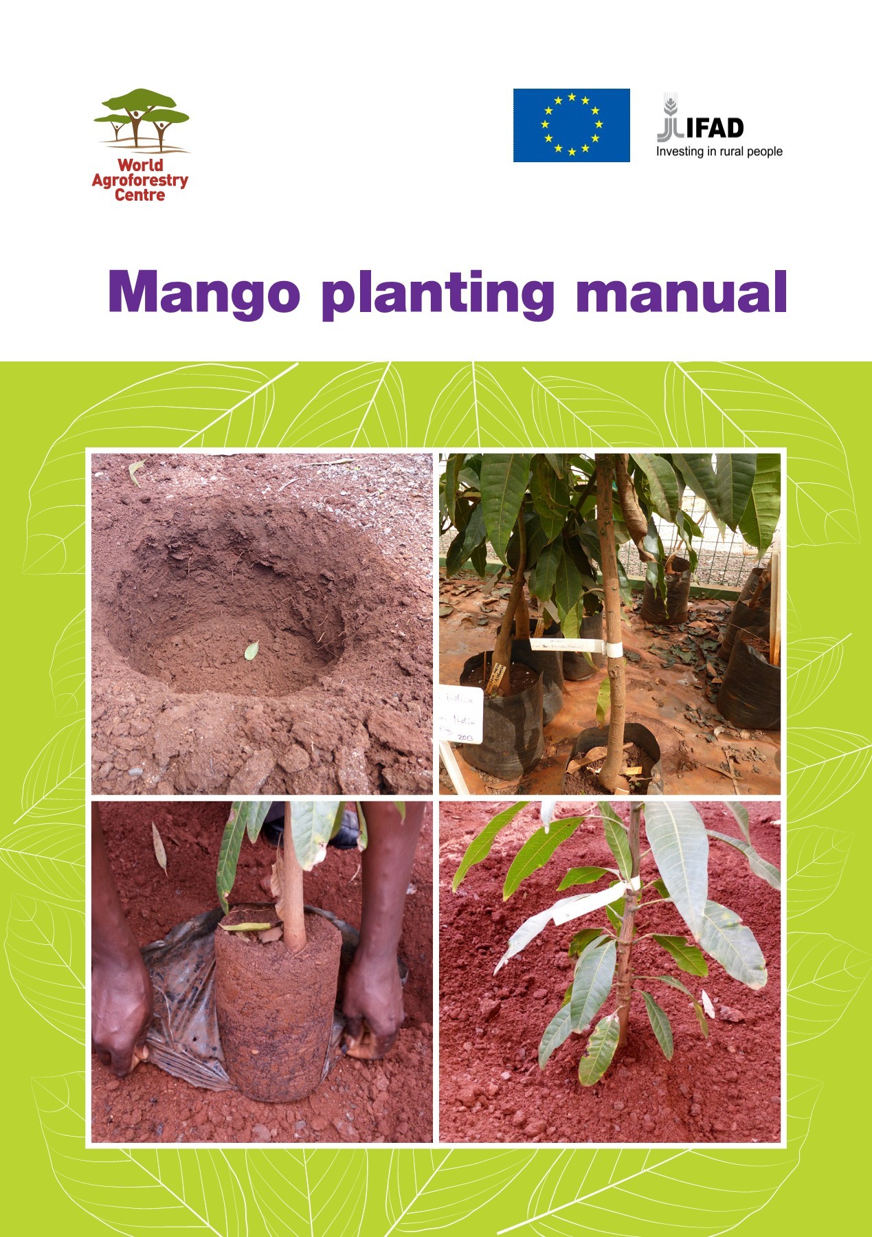 mango planting manual - abhichat.a - Page 1 - 12 | Flip PDF Online ...
