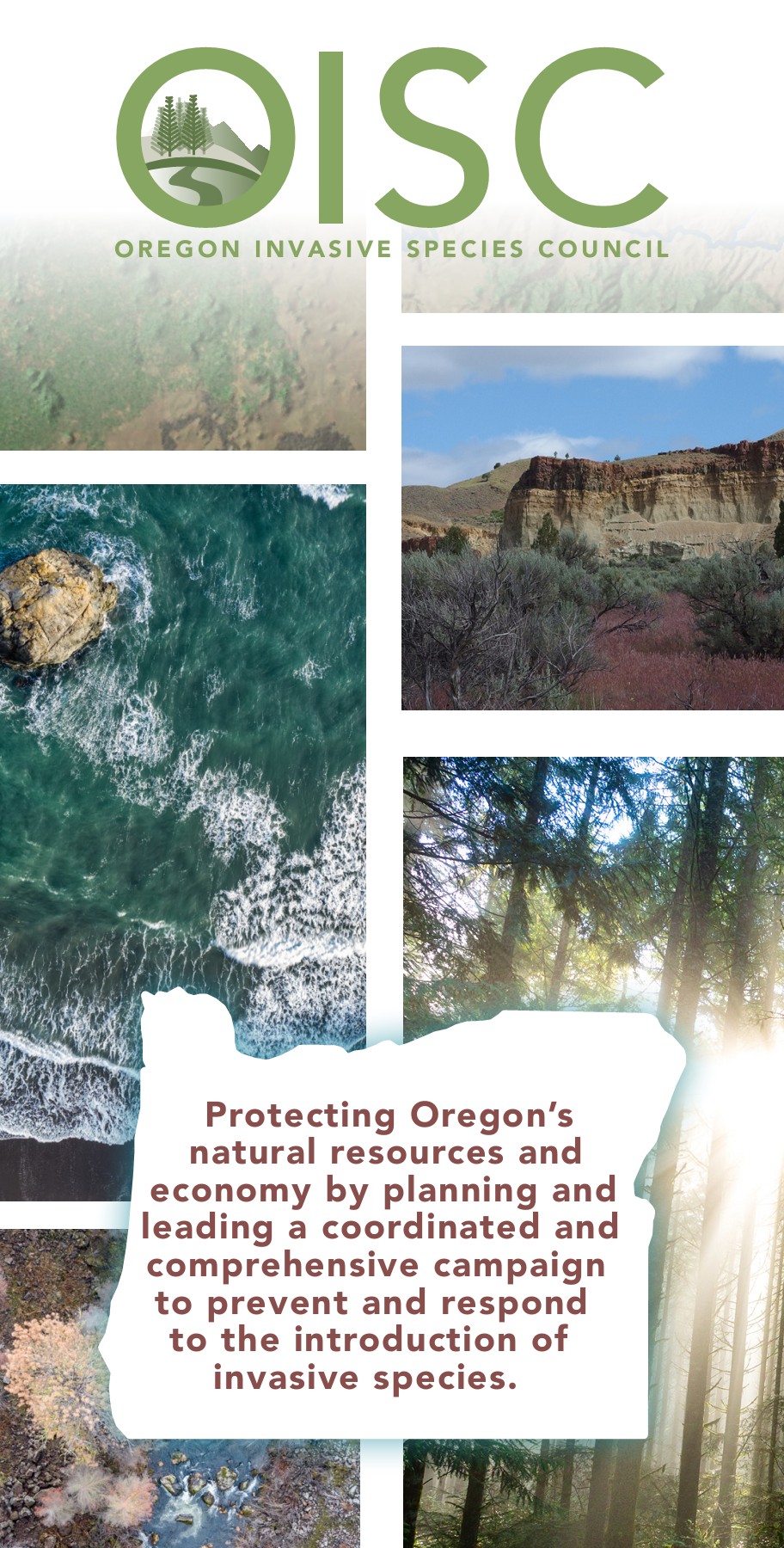 2021 OISC Brochure - coordinator - Page 1 - 6 | Flip PDF Online | PubHTML5