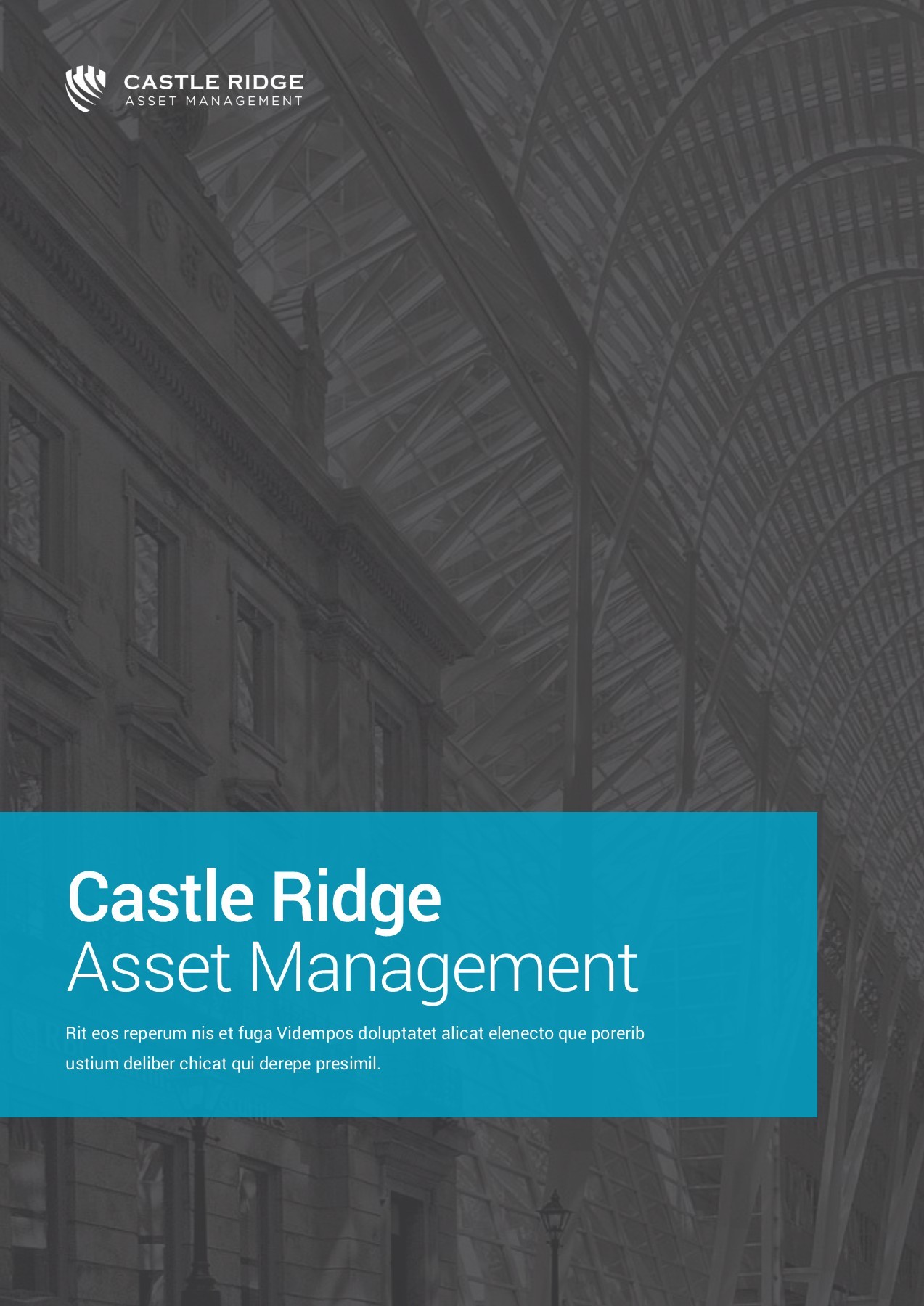 Castle Ridge Asset Management - zerosgravity7 - Page 1 - 28 | Flip PDF ...