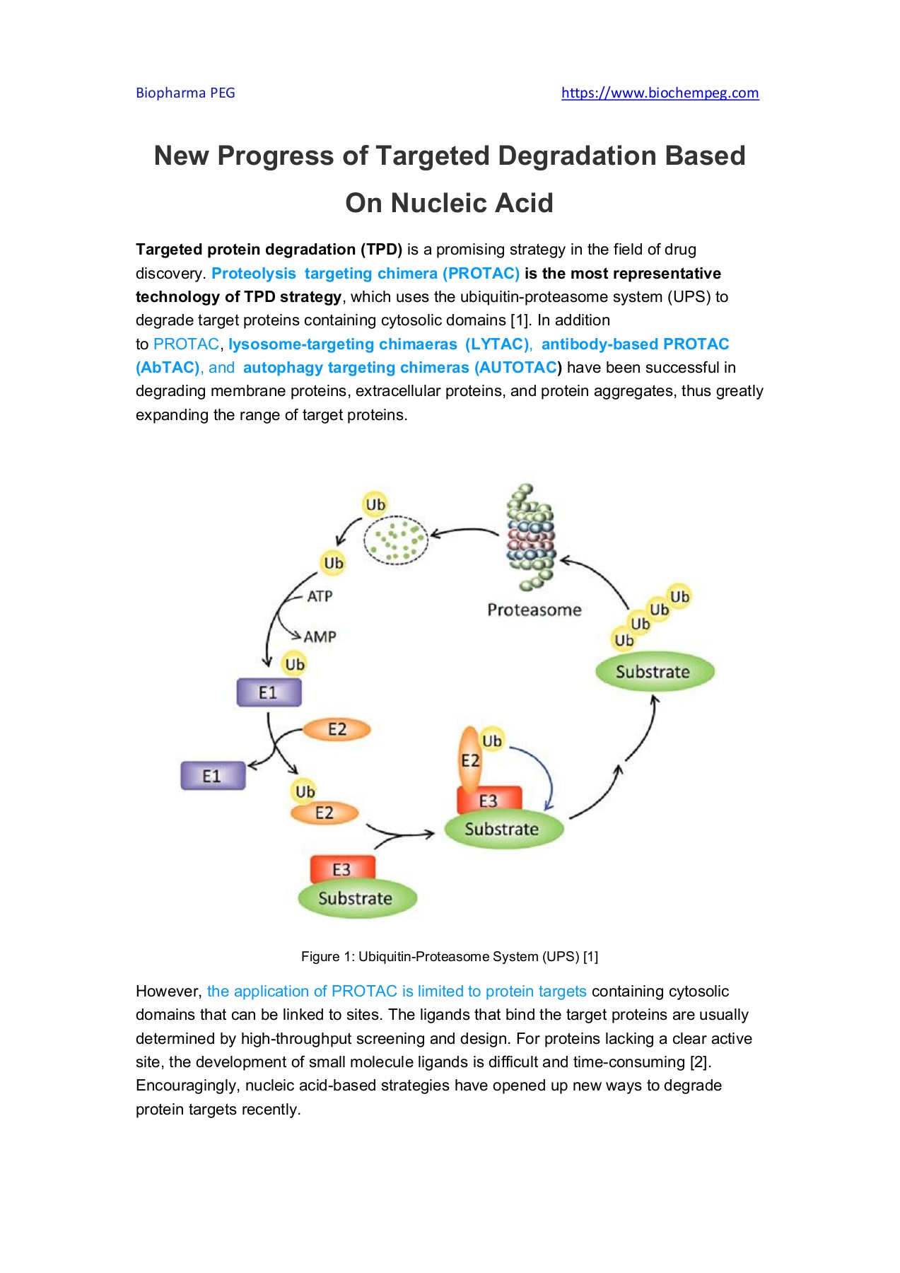 New Progress of Targeted Degradation Based On Nucleic Acid - Sonia Lee ...