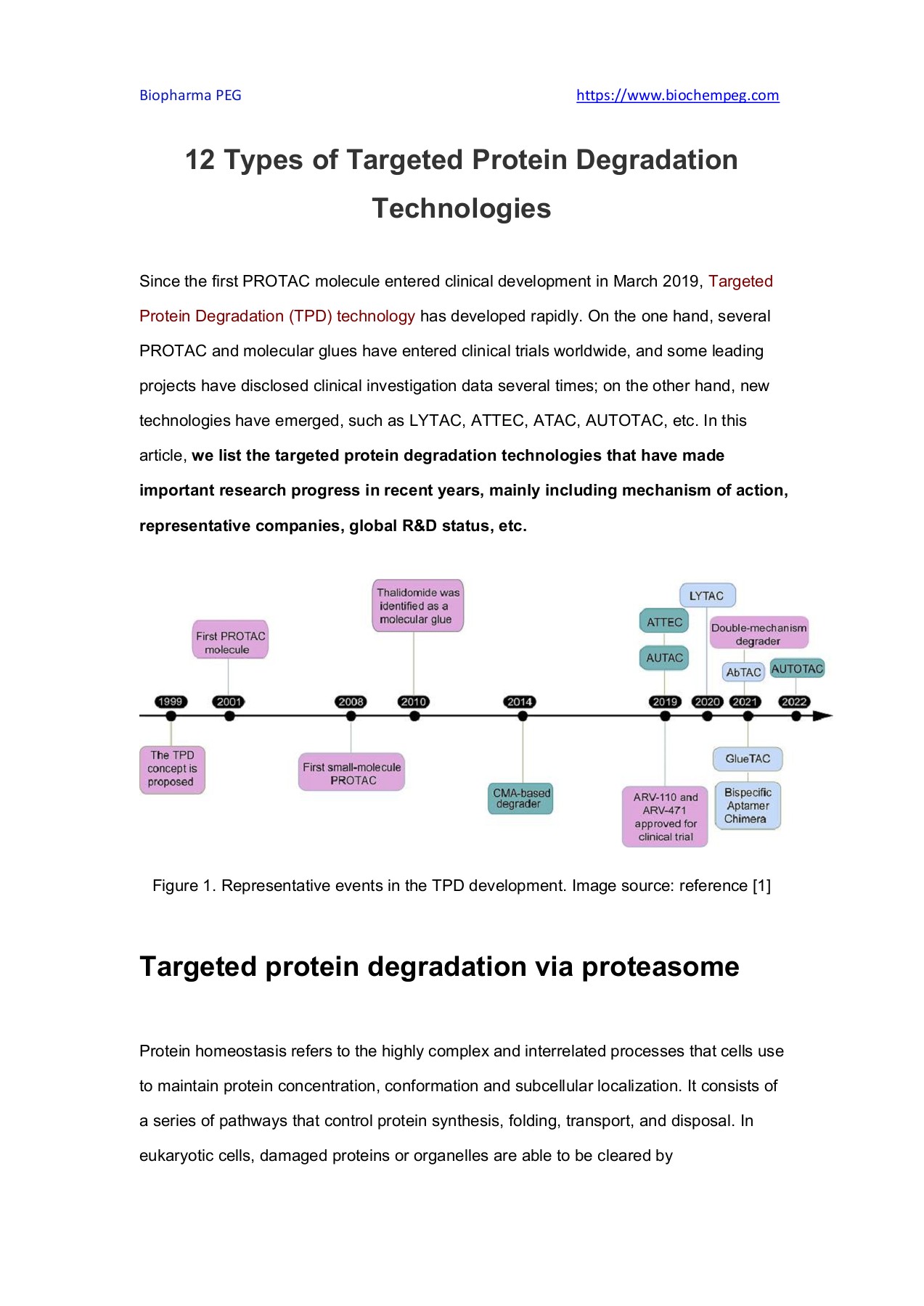 12 Types of Targeted Protein Degradation Technologies - Sonia Lee ...