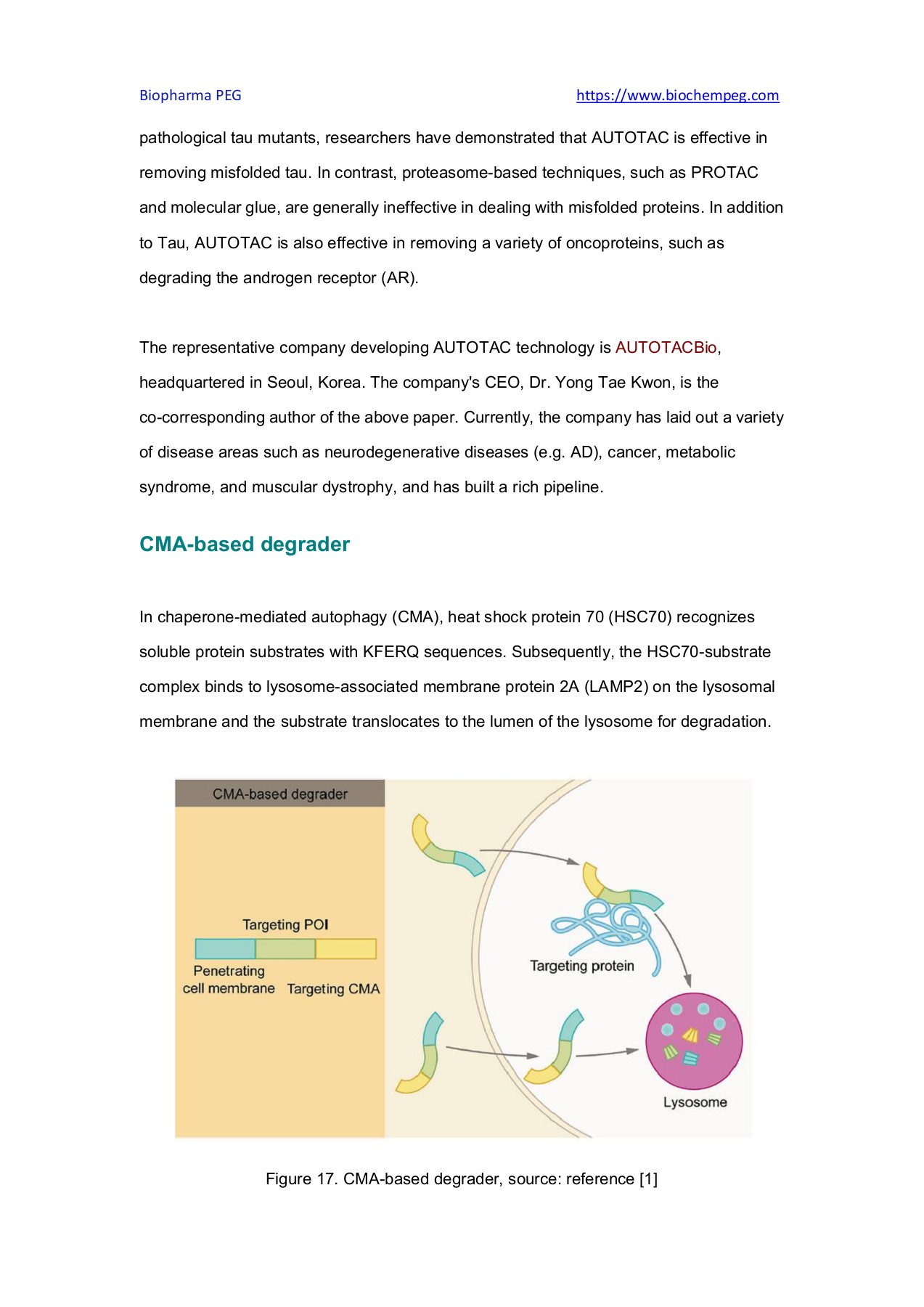 12 Types of Targeted Protein Degradation Technologies - Sonia Lee ...
