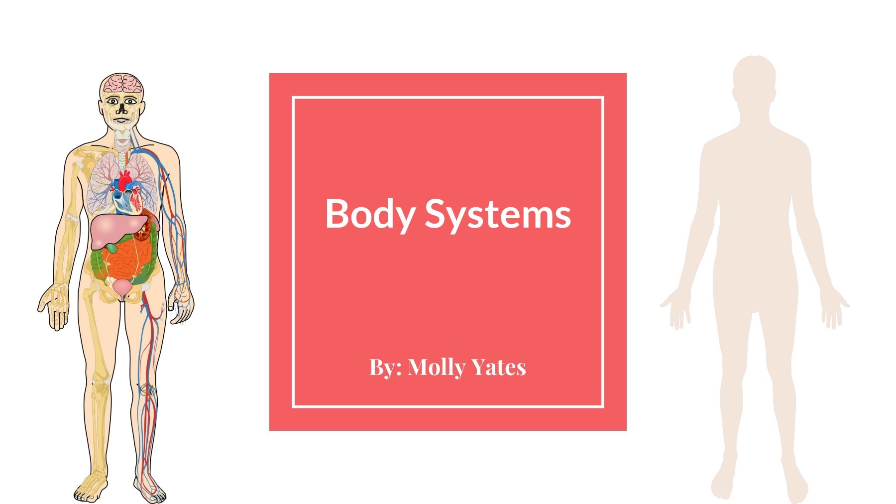 Body Systems slides2 - mmycutiepie - Page 1 - 20 | Flip PDF Online ...