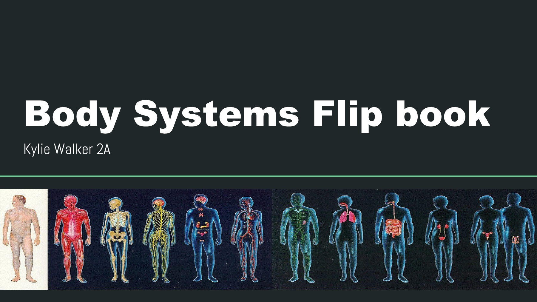 Body Systems Flipbook - kylie.walker.851 - Page 1 - 20 | Flip PDF ...