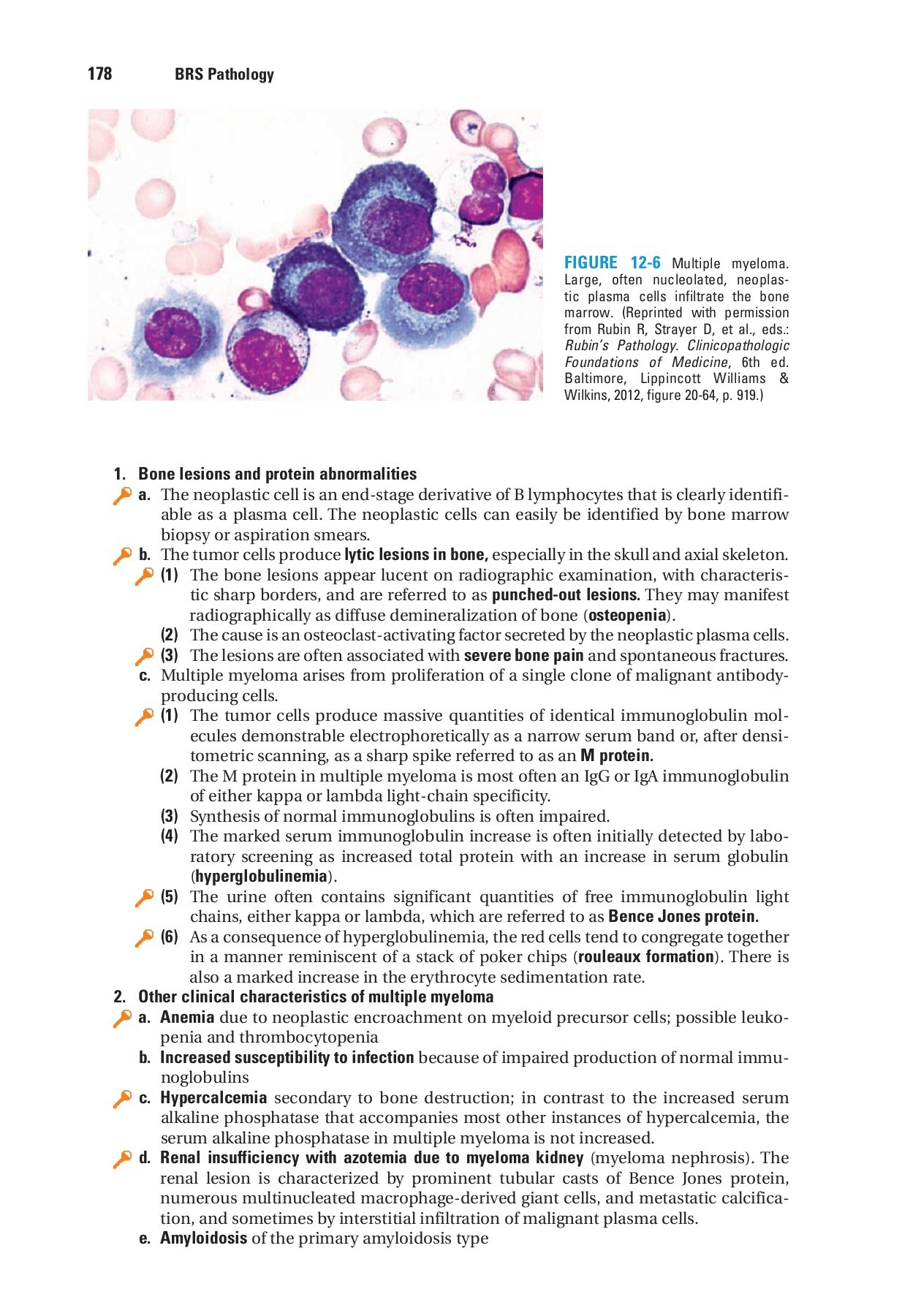 BRS PATHOLOGY - nikos.makris - Page 194 | Flip PDF Online | PubHTML5