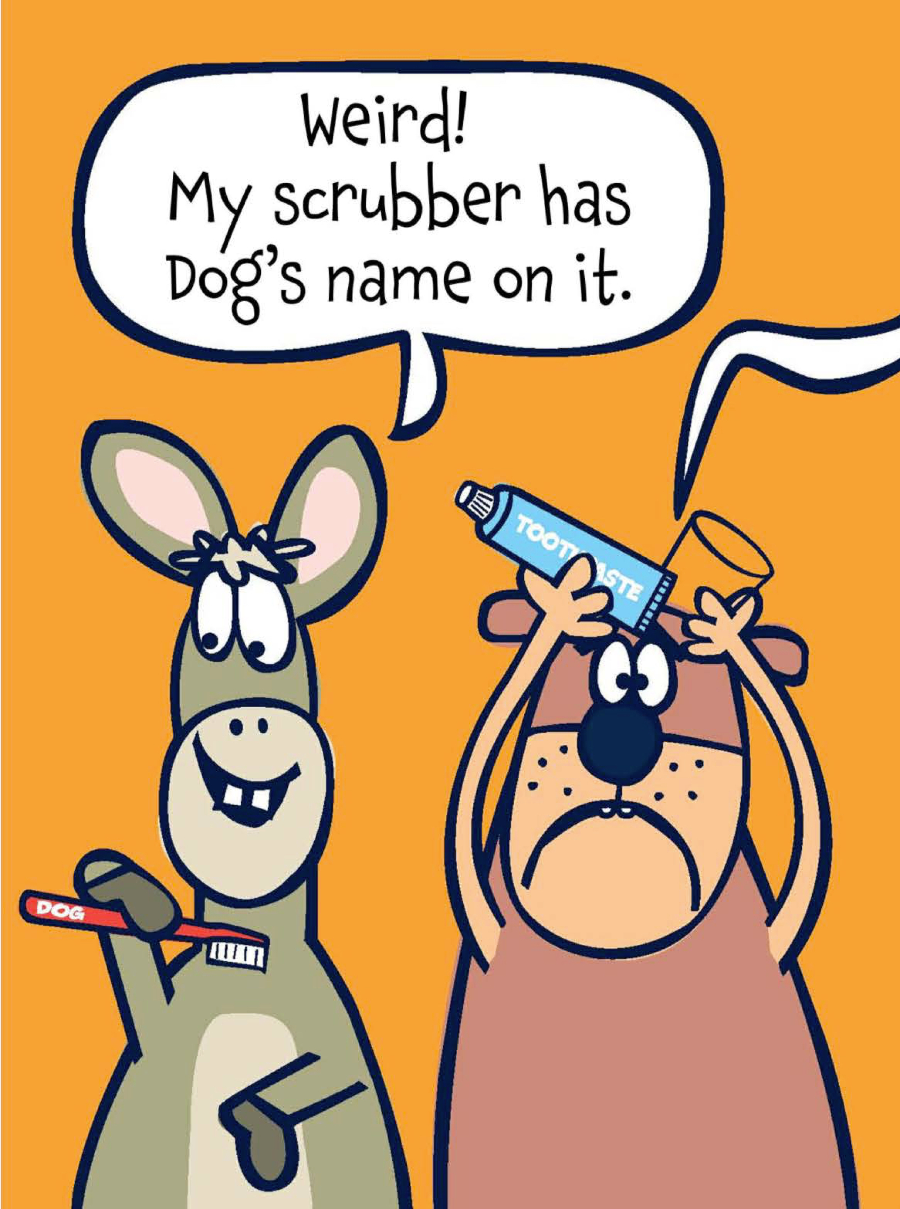 My Toothbrush Is Missing - Jan Thomas - PREPRIMARY LIBRARY - Page 44 ...