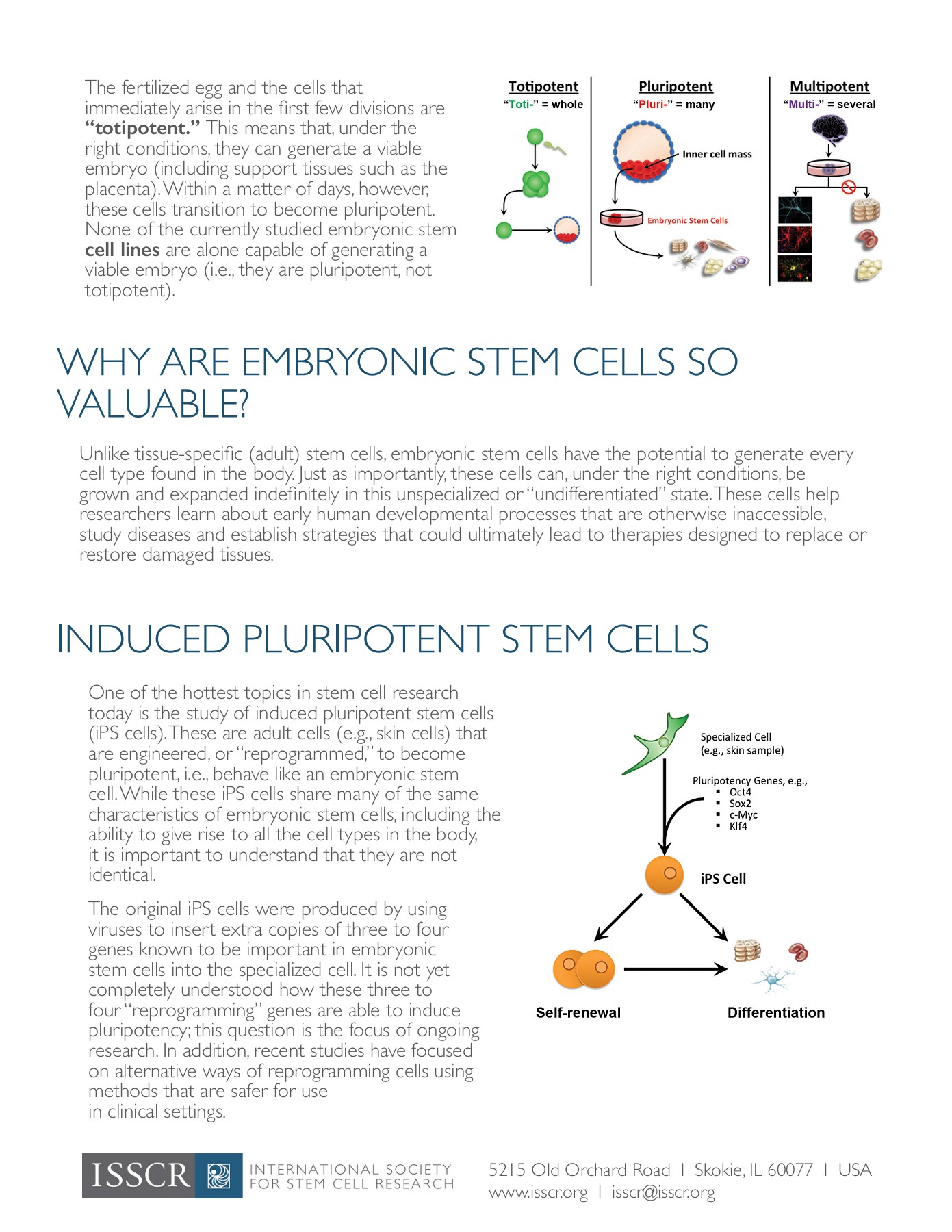 stem-cell-facts - Aditya Ramesh - Page 3 | Flip PDF Online | PubHTML5