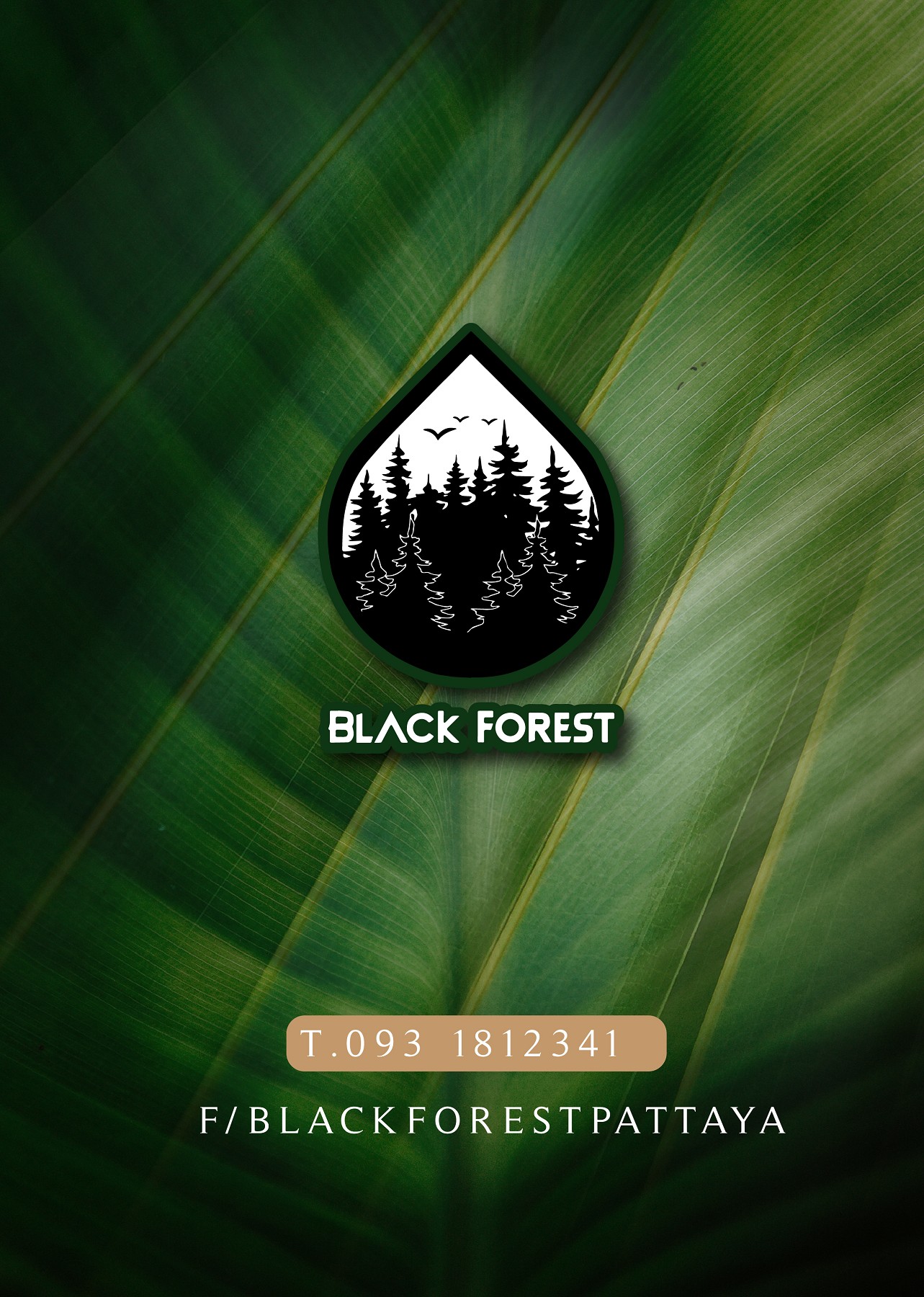 Black Forest Pattaya - FOOD MENU - หน้าหนังสือ 1 - 23 | พลิก PDF ออนไลน์ | PubHTML5