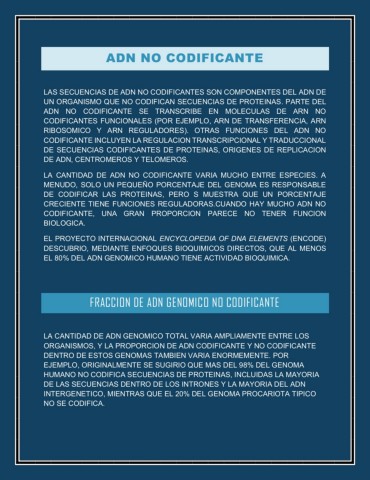 ADN NO CODIFICANTE - mclarissa097 - Página 1 - 4 | Flip PDF en línea ...