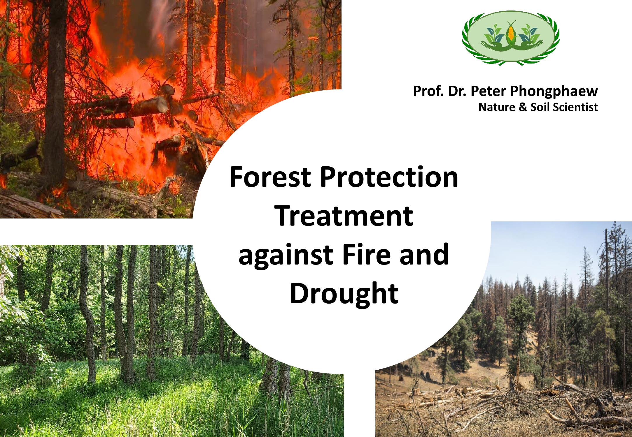 Forest Protection against Fire and Drought - peter_phongphaew - Page 1 ...