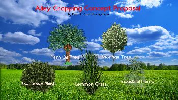 Organig Farming, Alley Cropping and Agroforestry