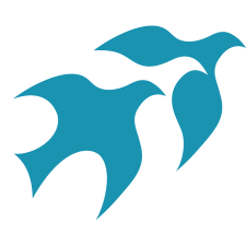 Central Trading Company LLC Official Homepage | PubHTML5