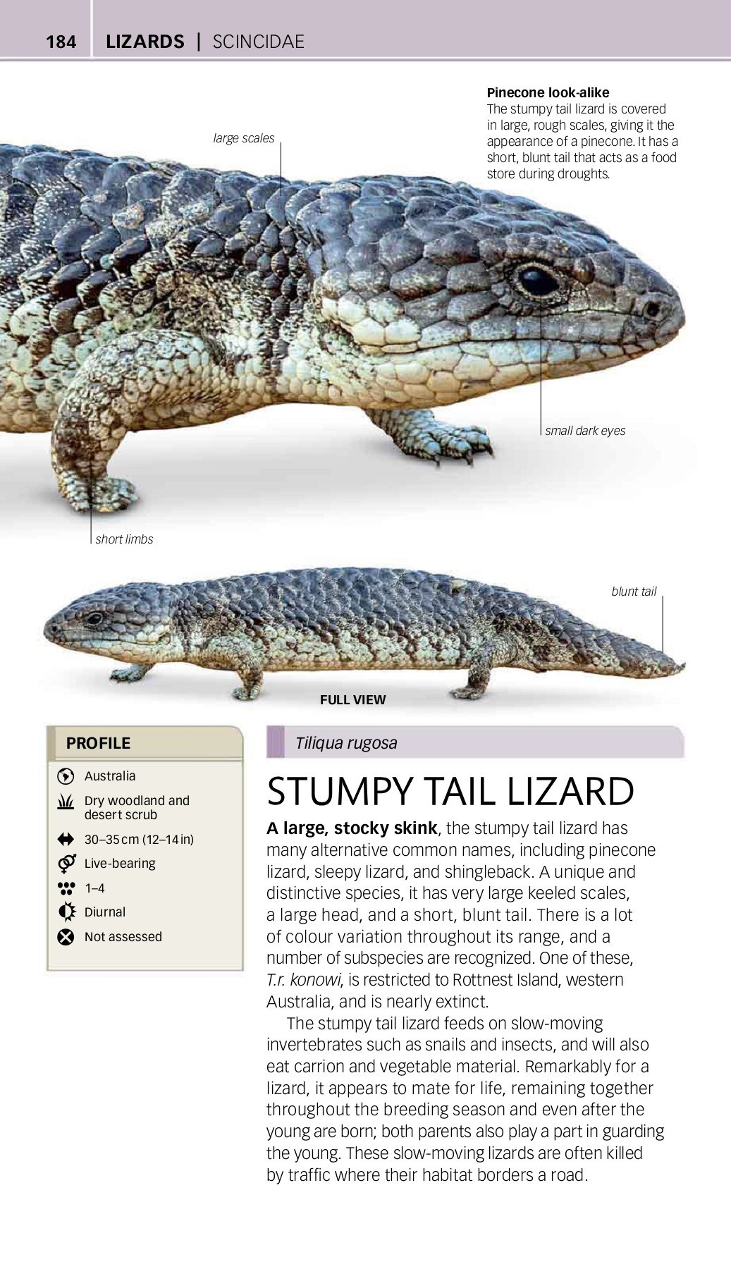 Nature Guide_ Snakes and Other Reptiles and Amphibians - THE MANTHAN ...