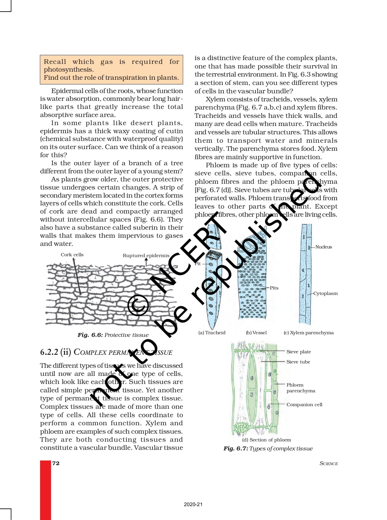 grade 10 science - THE MANTHAN SCHOOL - Page 82 | Flip PDF Online ...