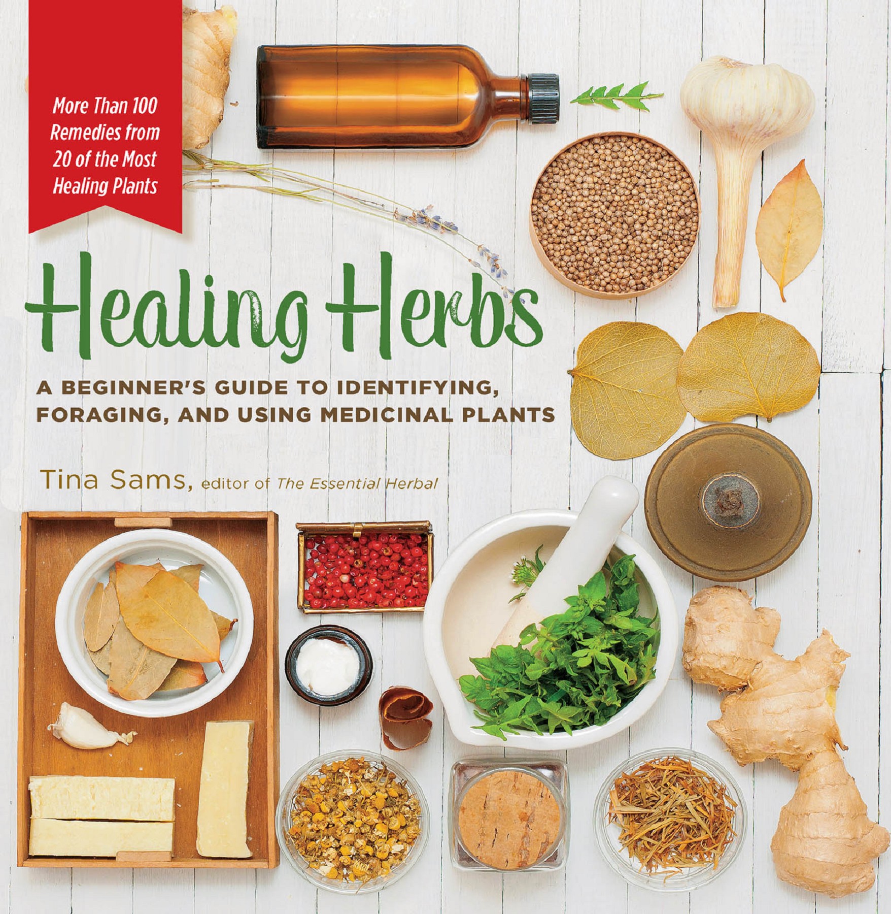 Healing Herbs_ A Beginner's Guide to Identifying, Foraging, and Using ...