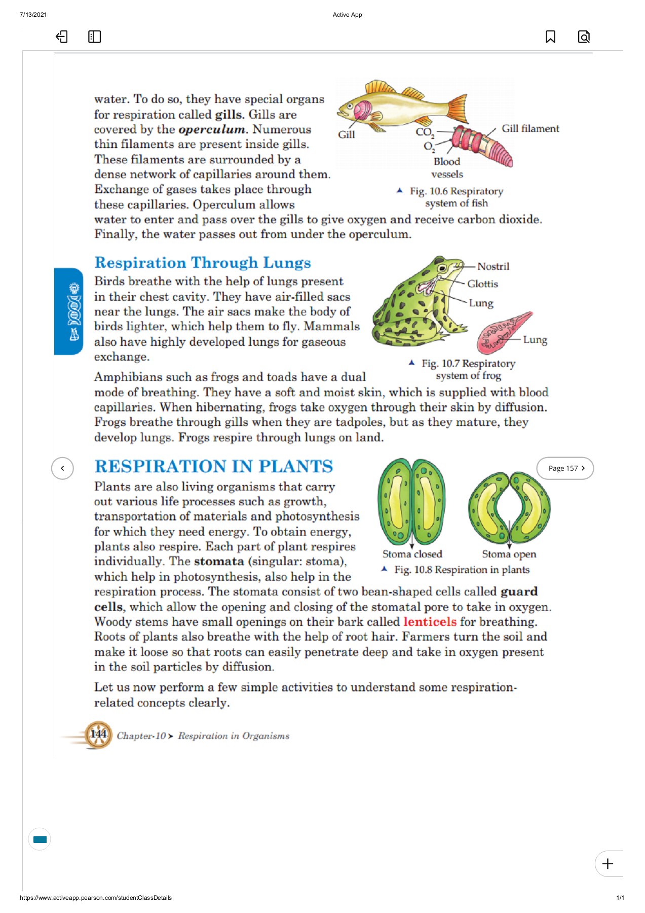 universal science-7 - THE MANTHAN SCHOOL - Page 156 | Flip PDF Online ...