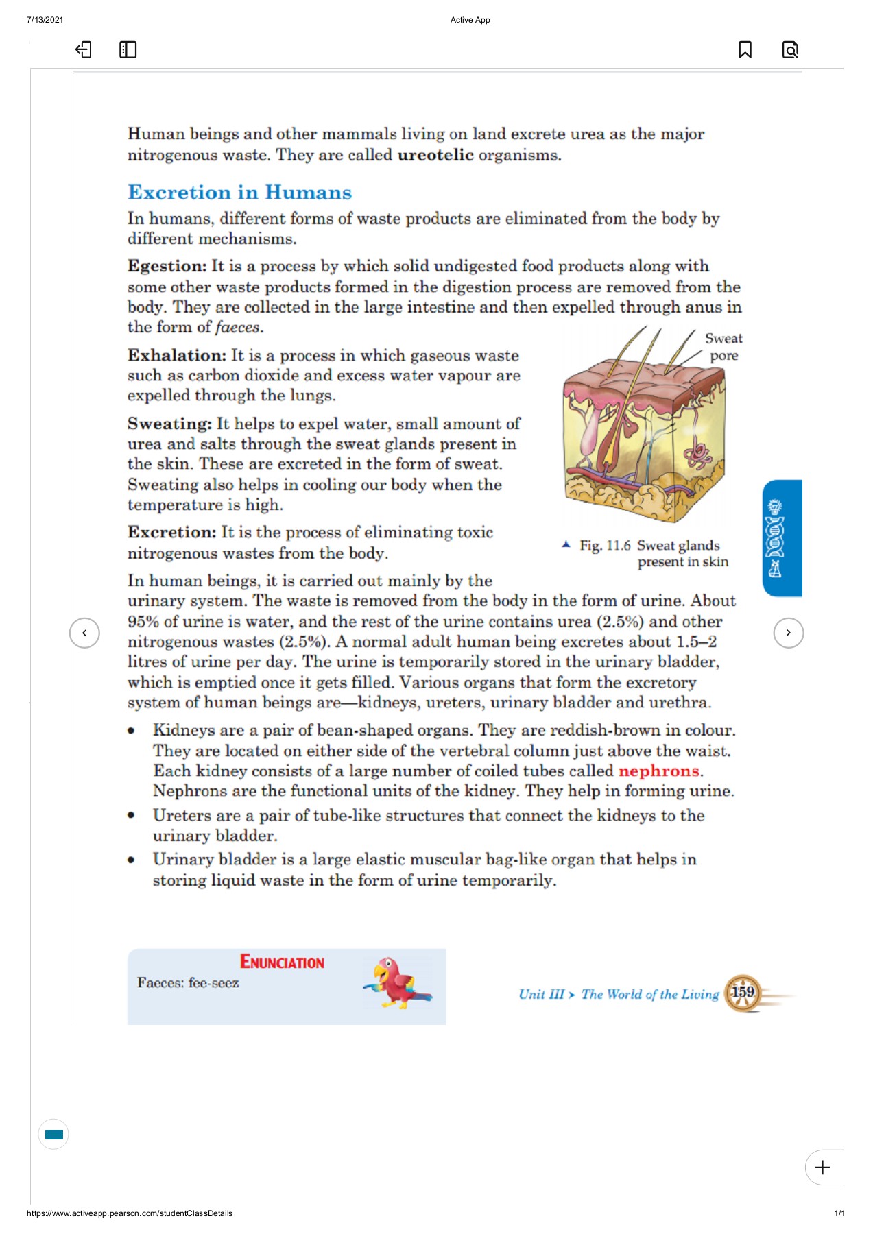 universal science-7 - THE MANTHAN SCHOOL - Page 171 | Flip PDF Online ...