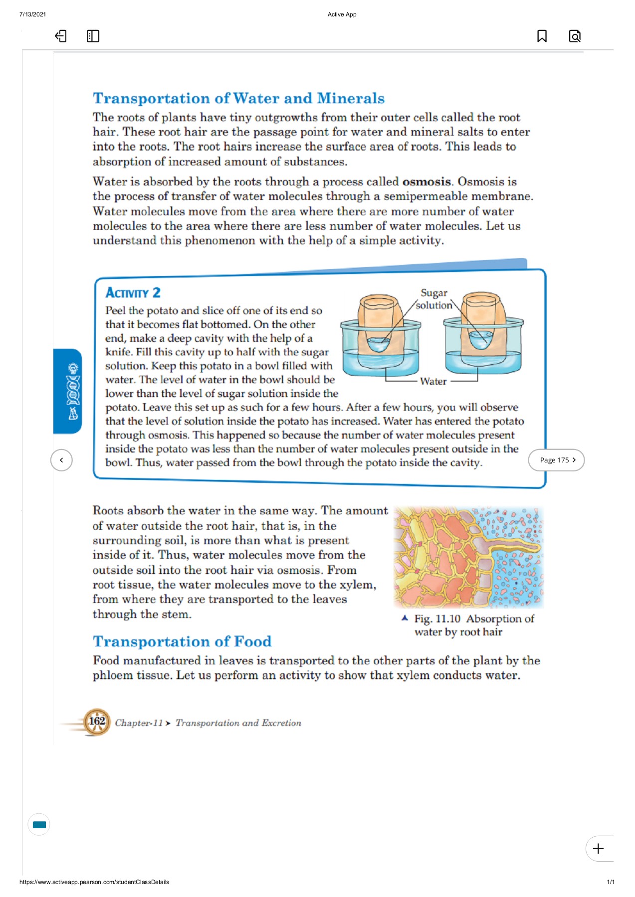 universal science-7 - THE MANTHAN SCHOOL - Page 174 | Flip PDF Online ...
